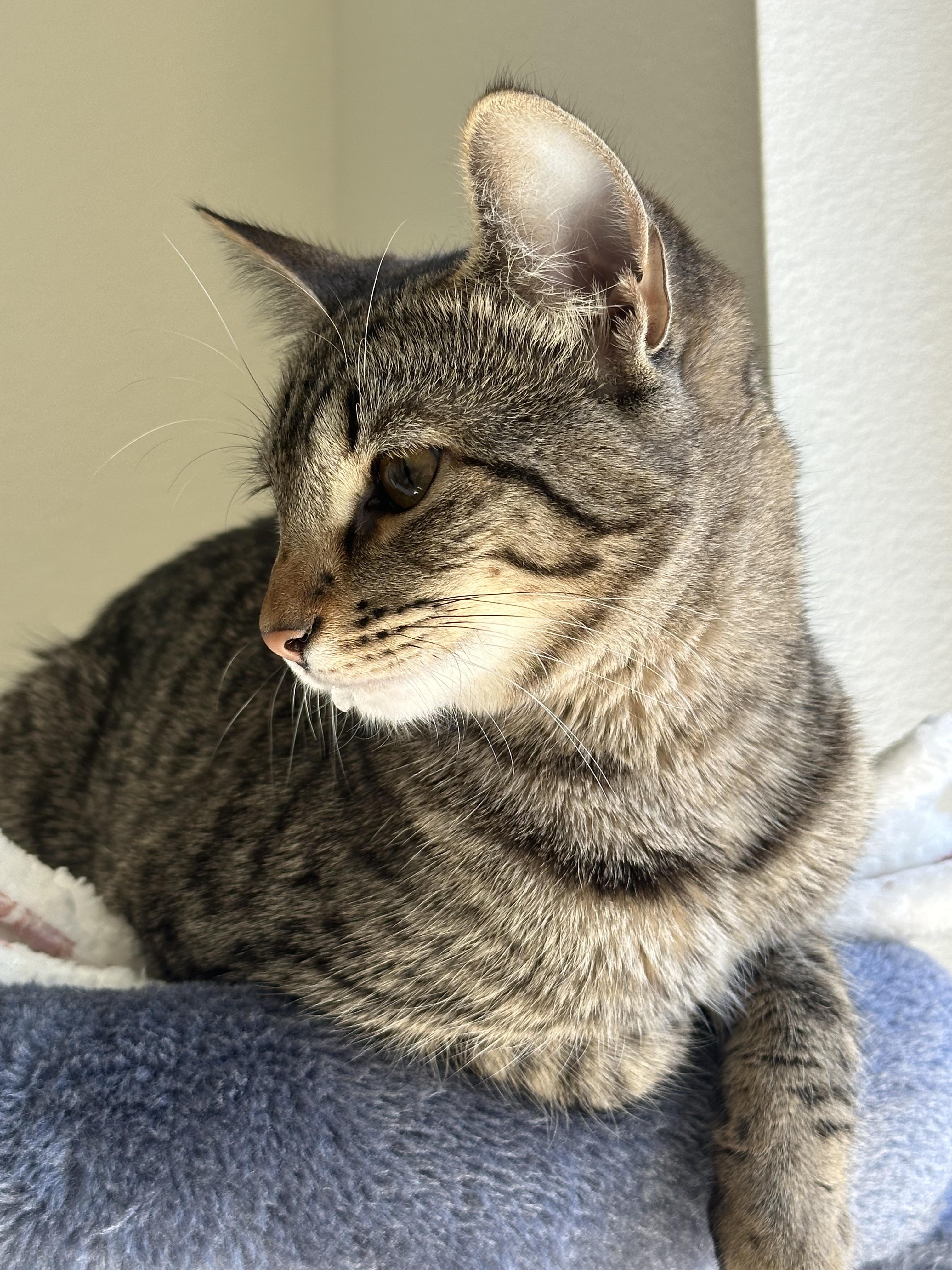 Some of my favorite pictures of my SIC, Penny, from 2024 | Scrolller