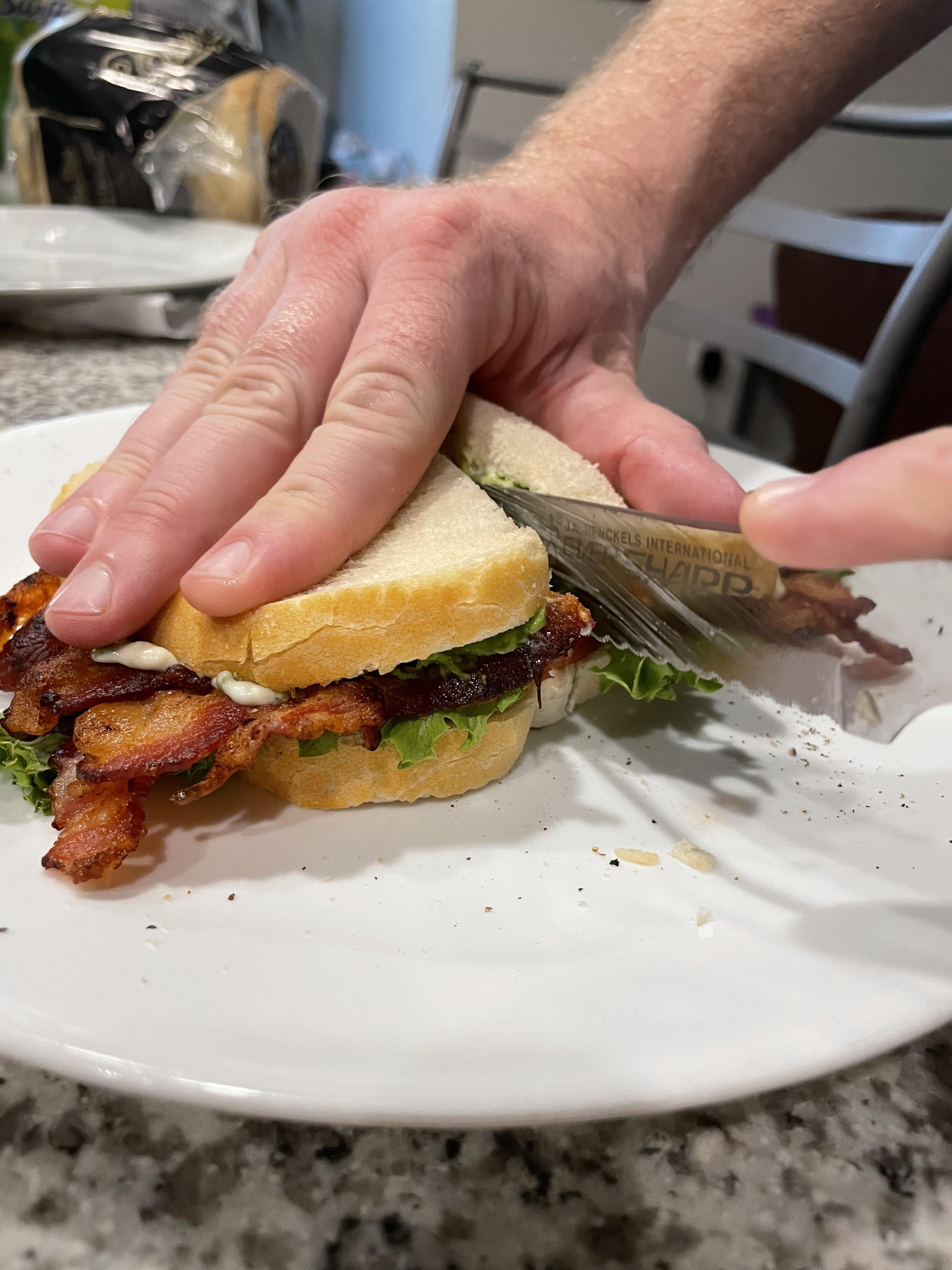 [homemade] BLAT plus Gary | Scrolller