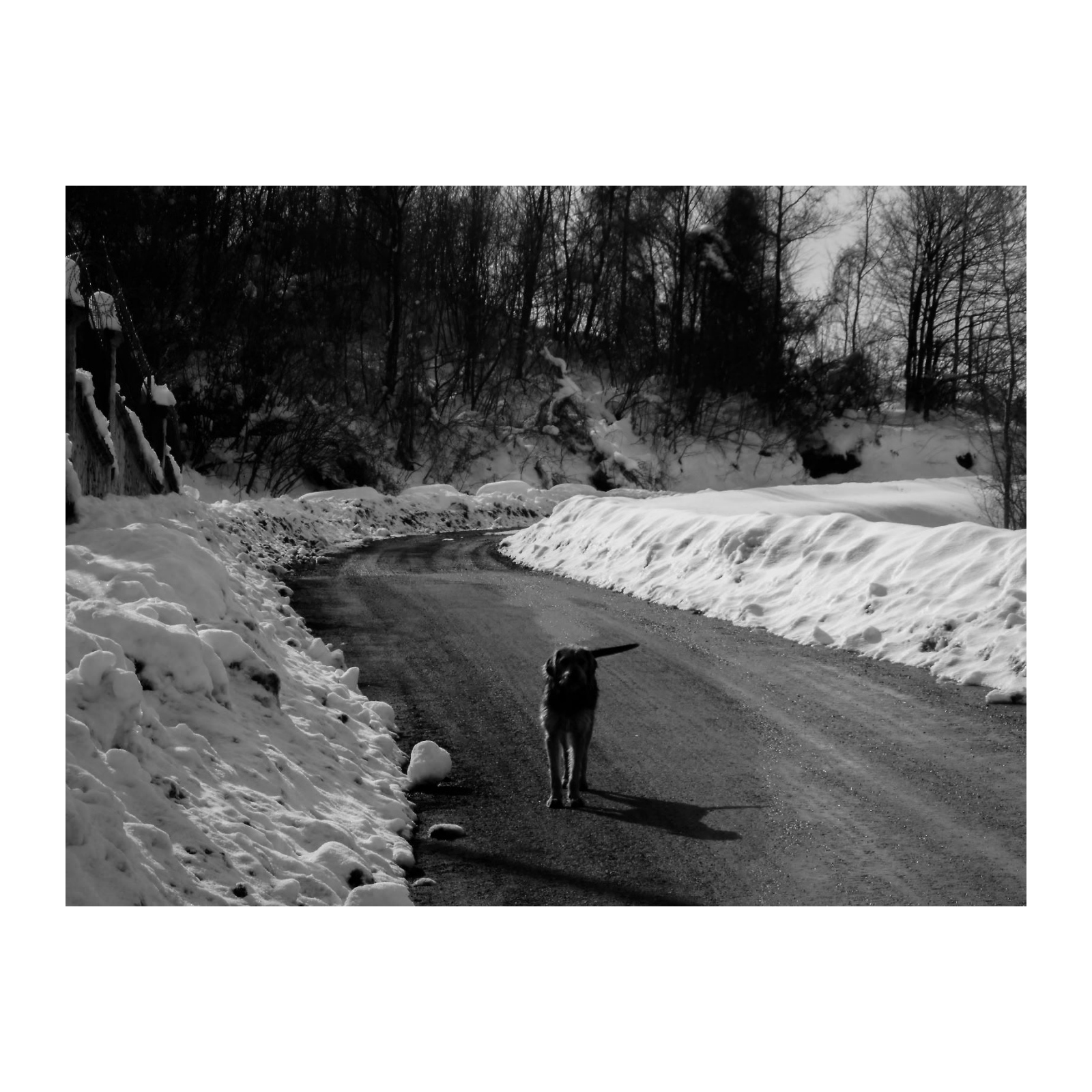 Road to somewhere | Scrolller