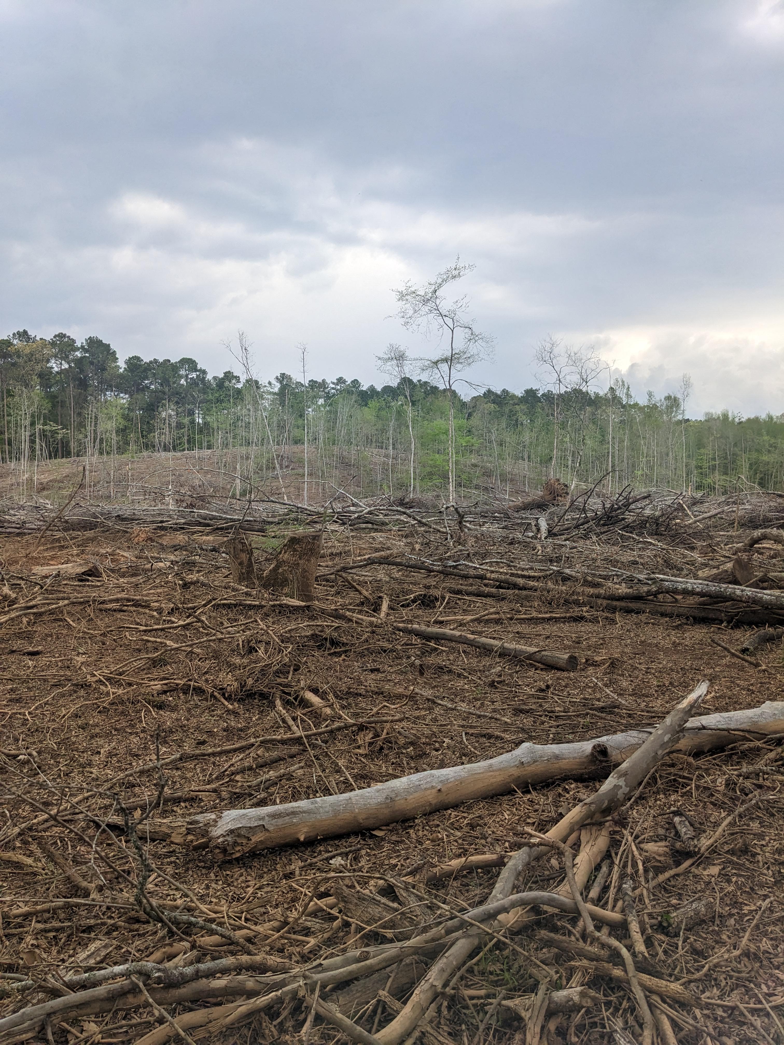 Can an expert explain this? | Scrolller