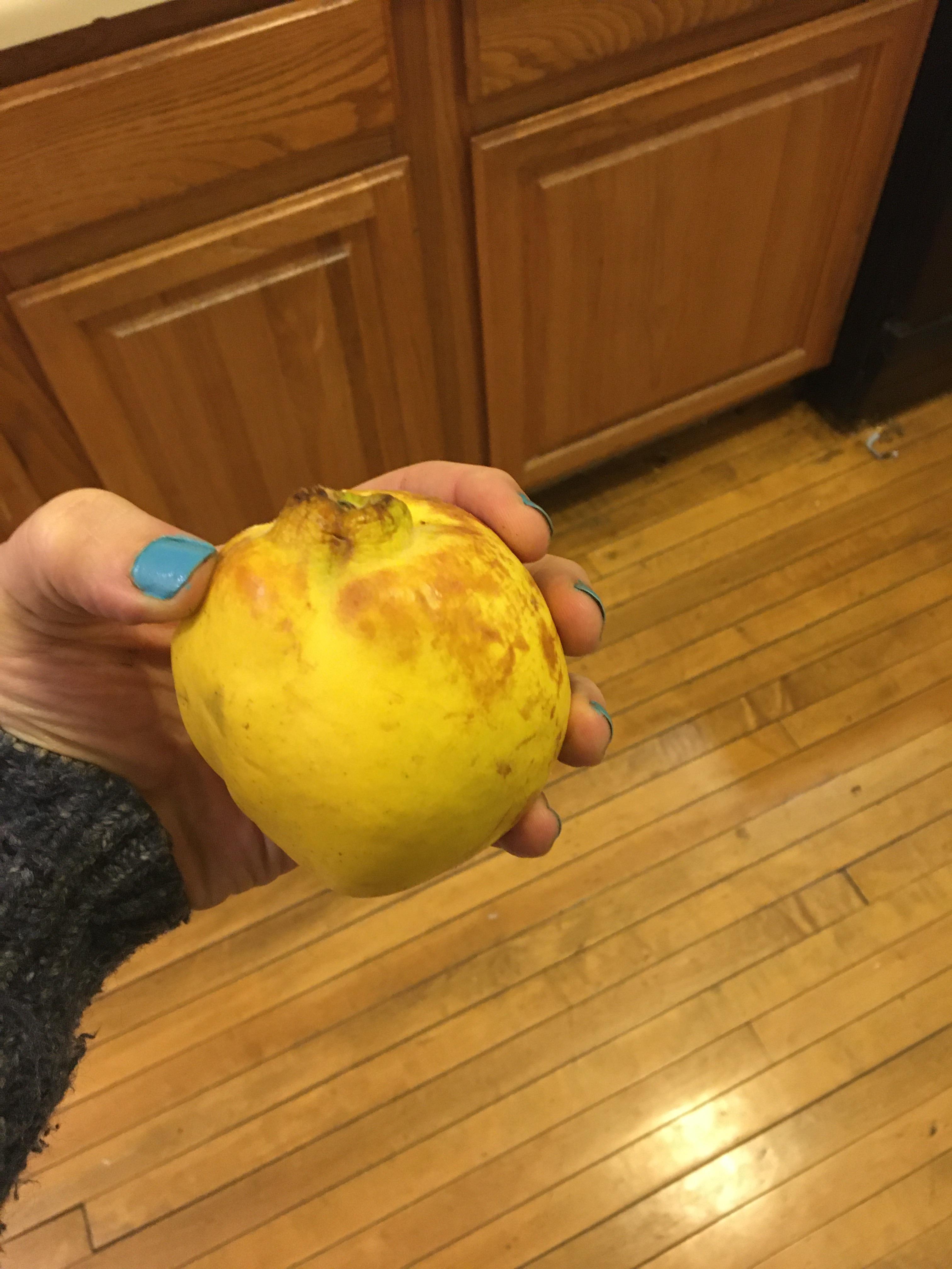 What is this fruit? | Scrolller