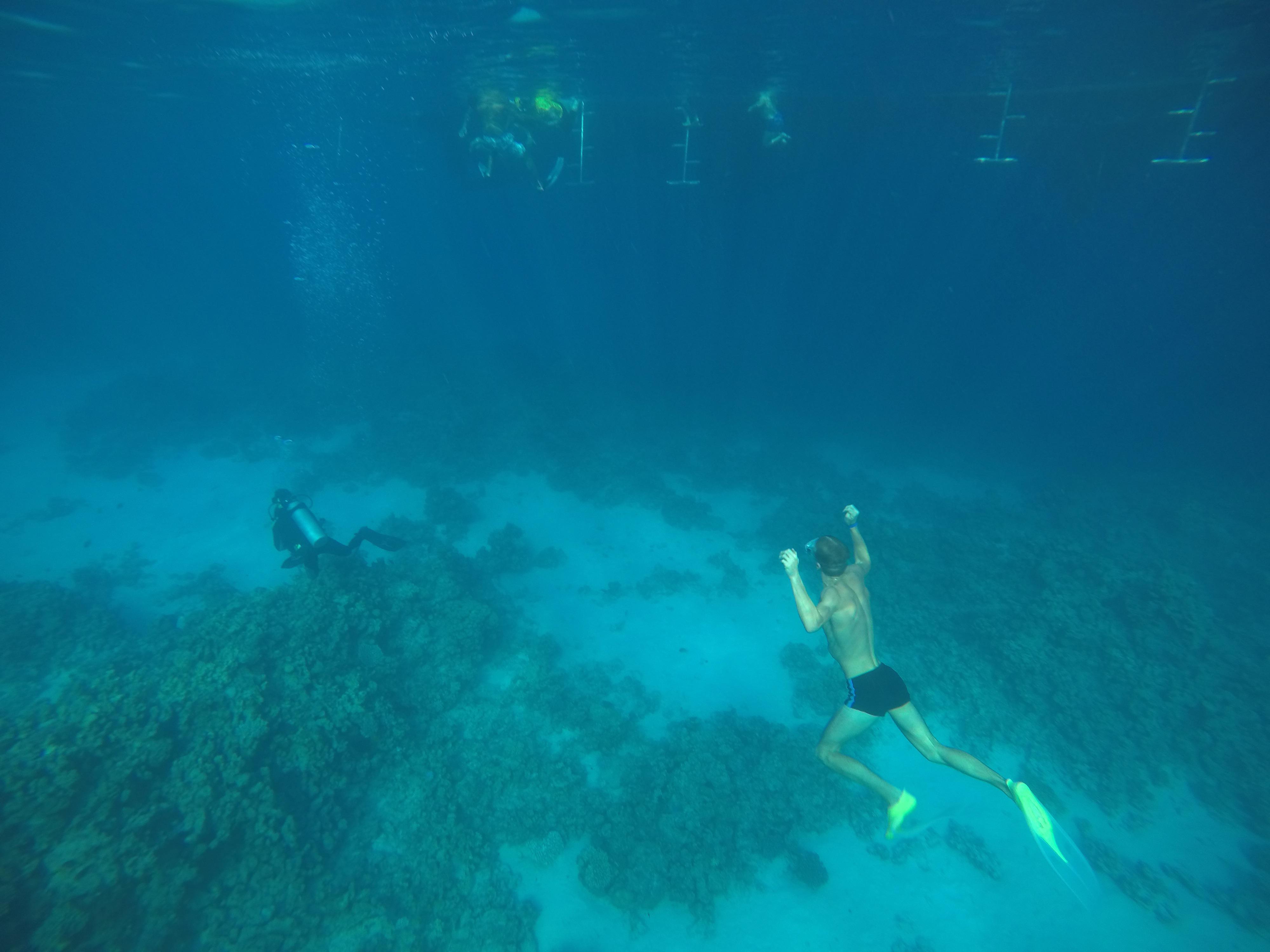 Discover more like Diving: Diving in egypt and Related Content | Scrolller