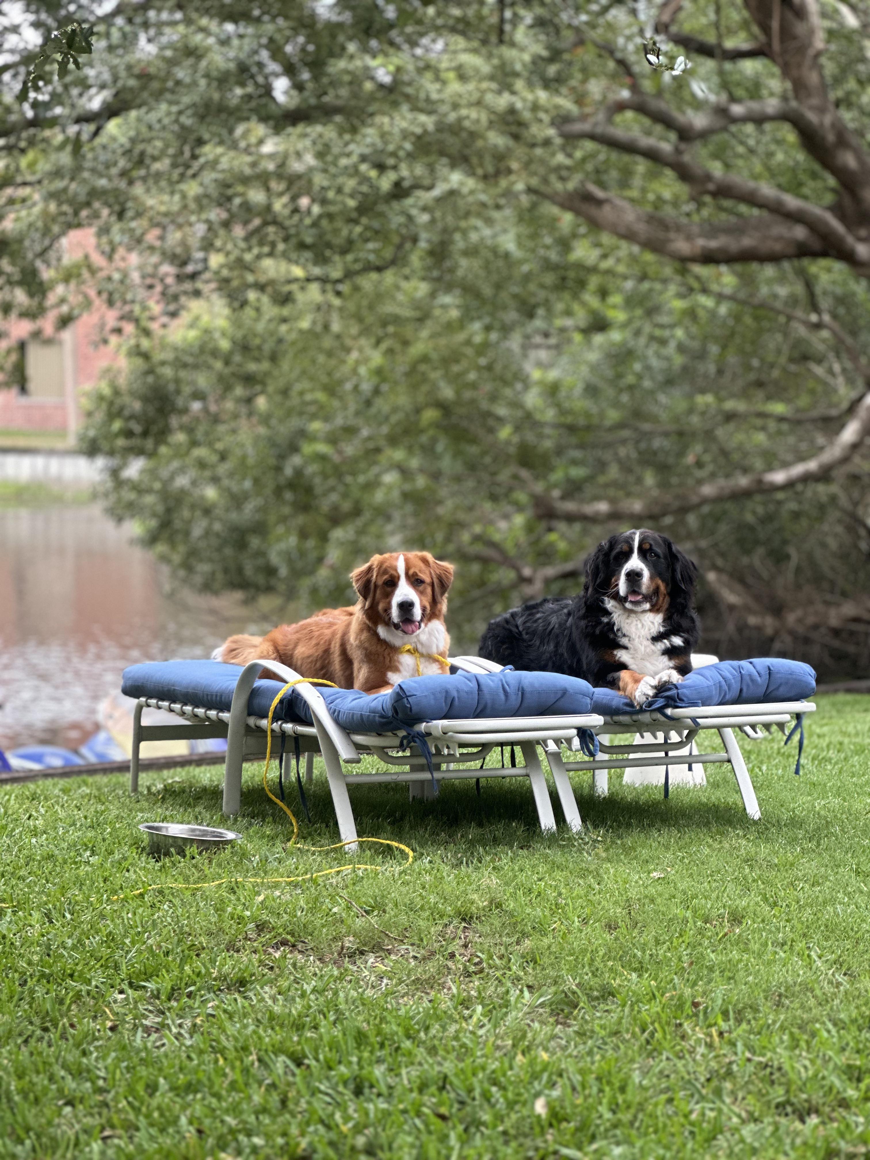 Sissy and Bubba | Scrolller