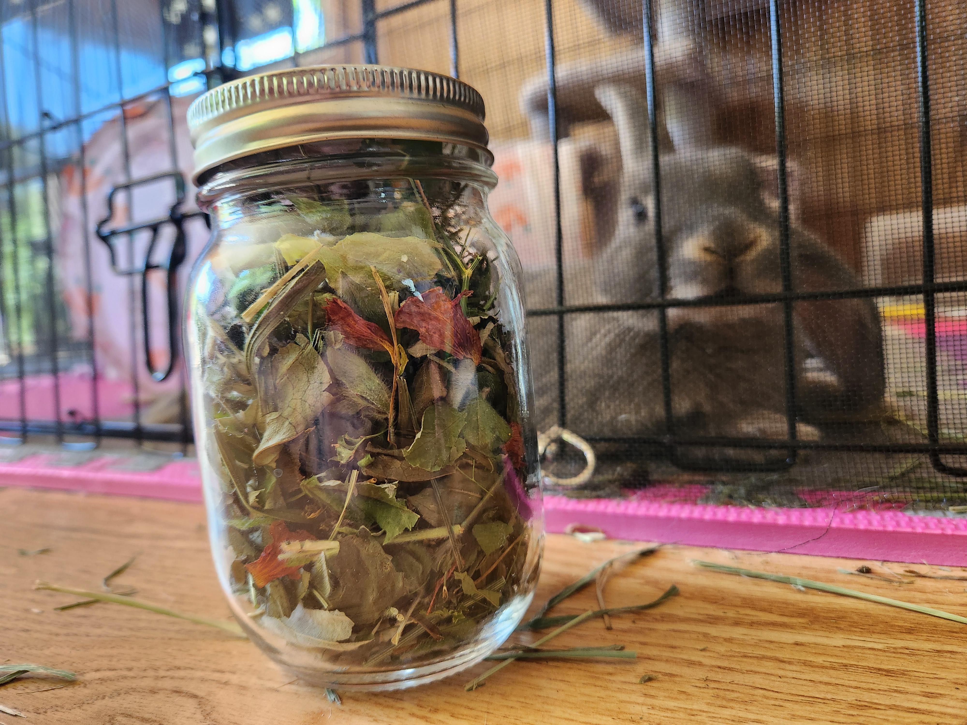 DIY forage | Scrolller