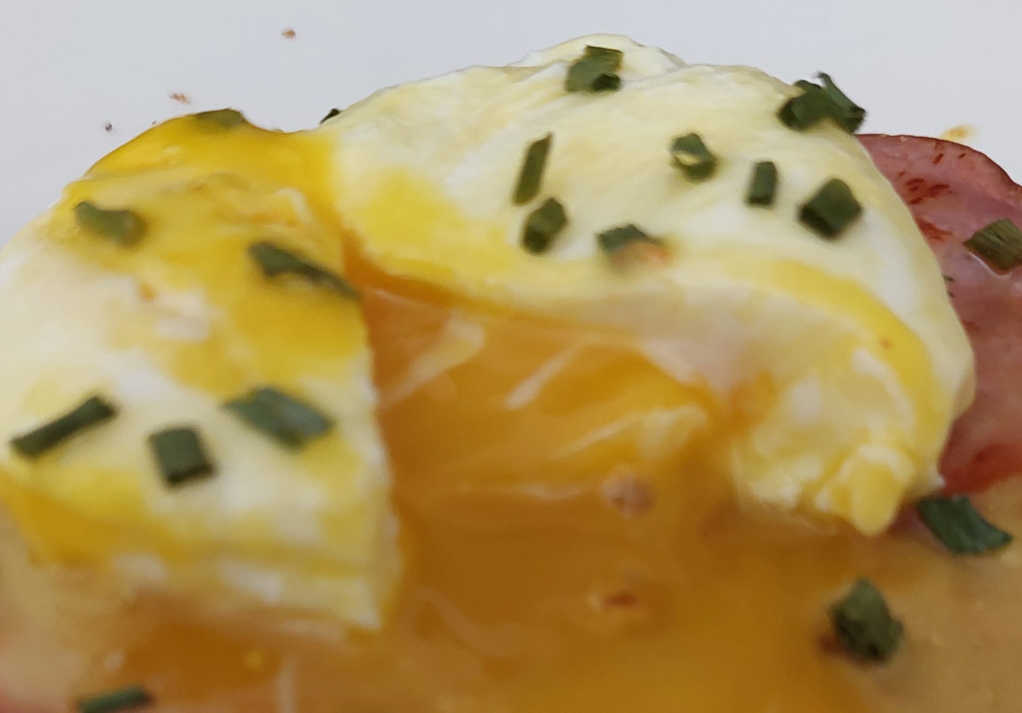 [Homemade] Oatnut Egg Benedict | Scrolller