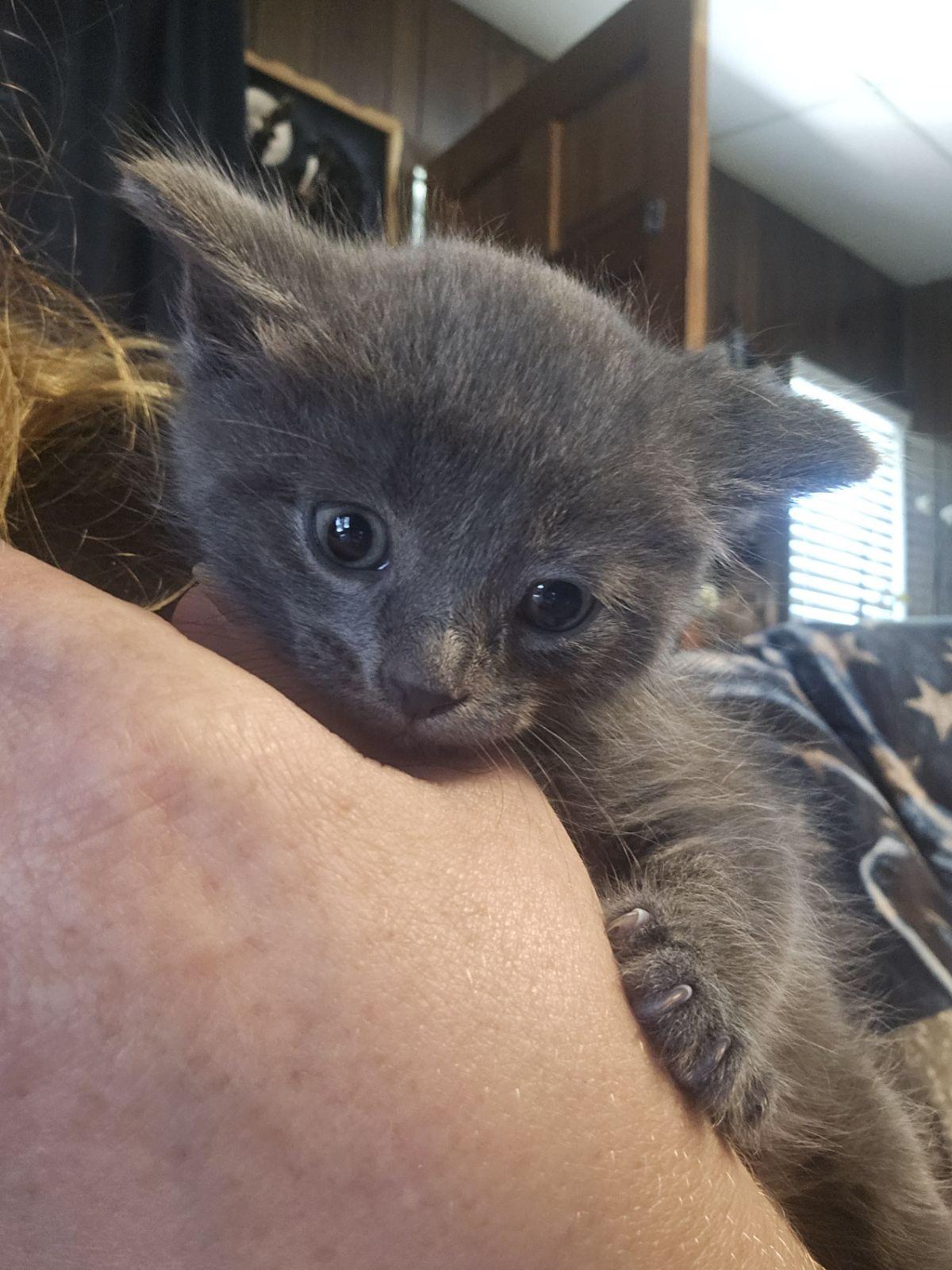 My daughters child | Scrolller