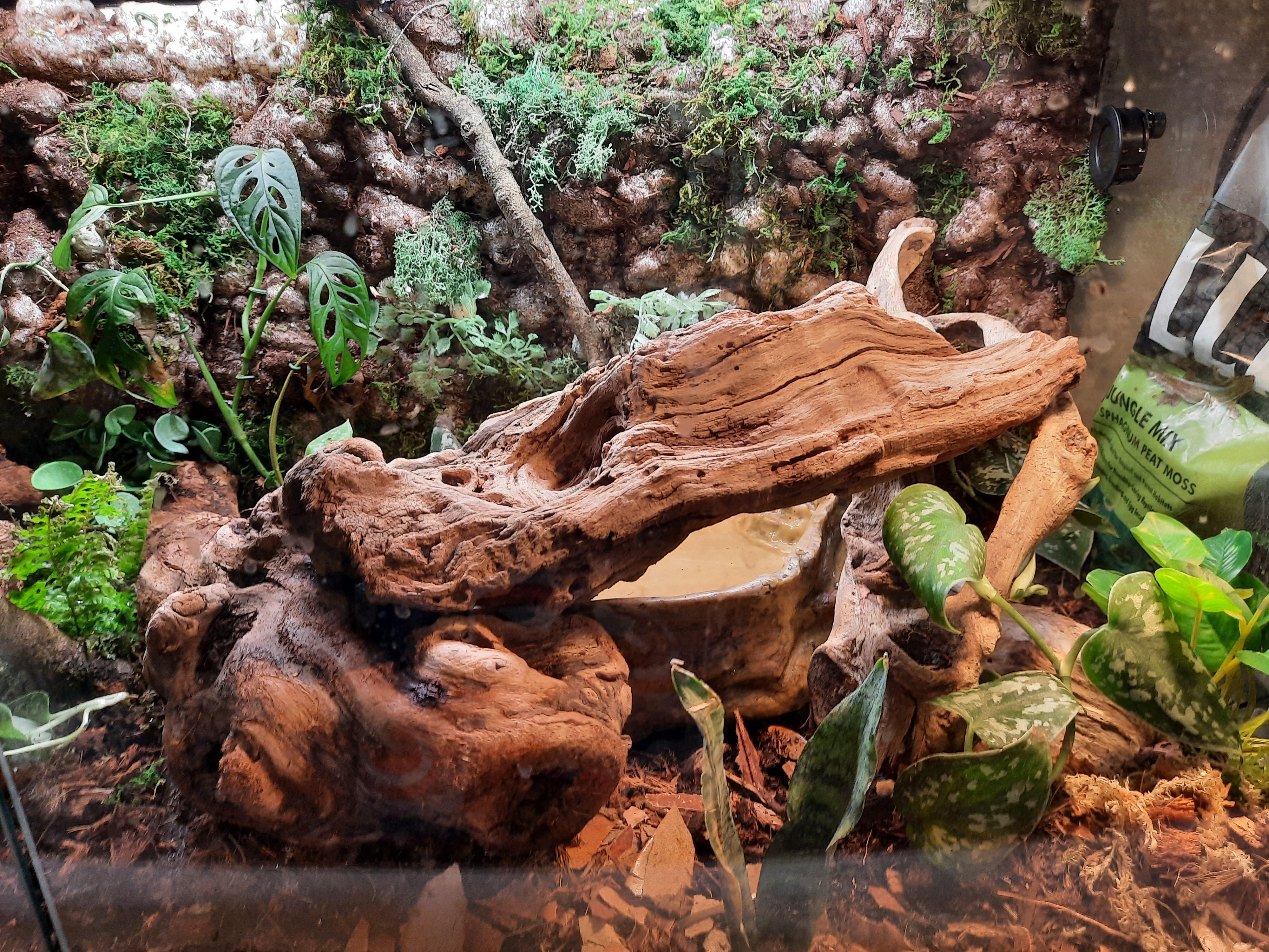 Bioactive Set up! | Scrolller