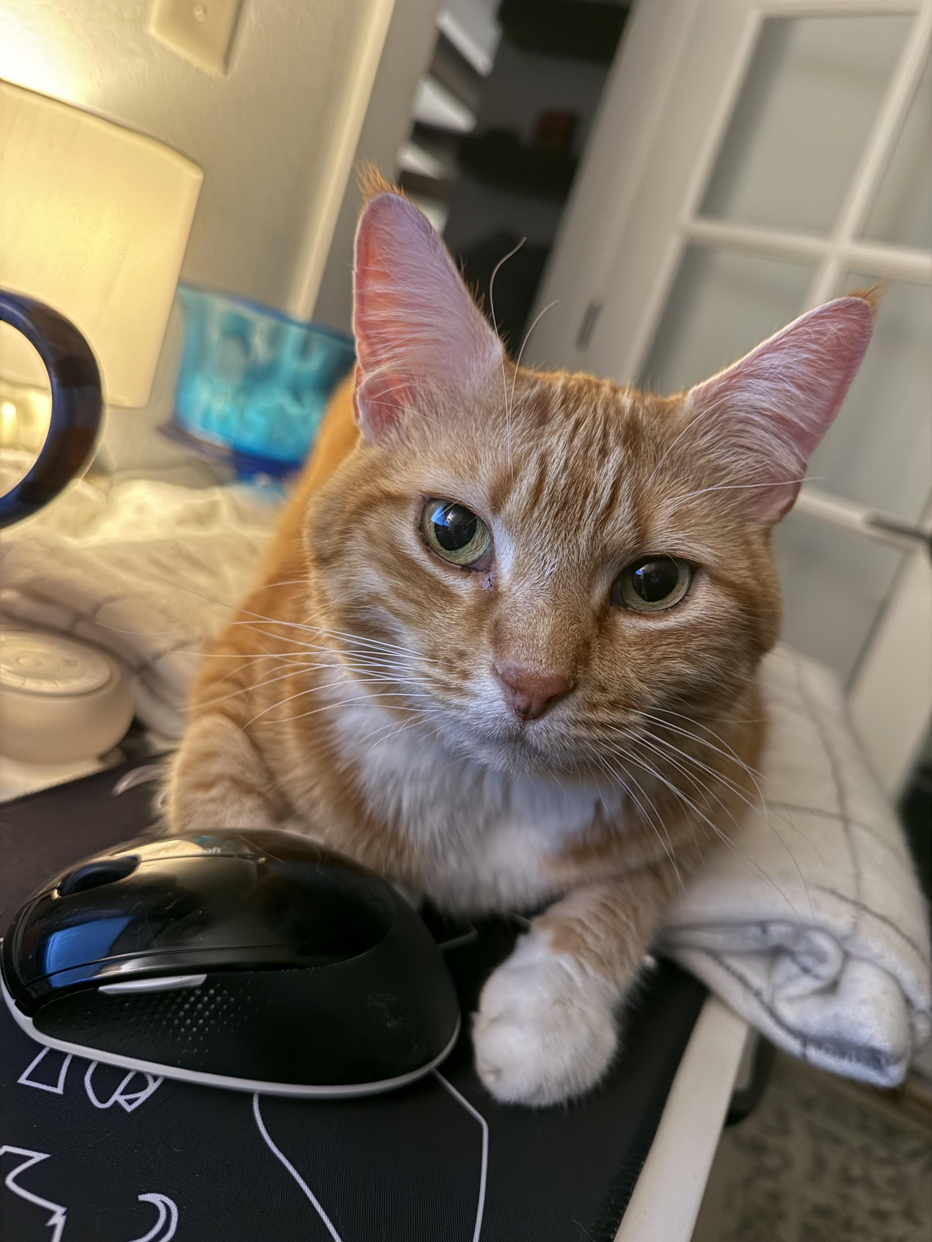 Office Tech | Scrolller