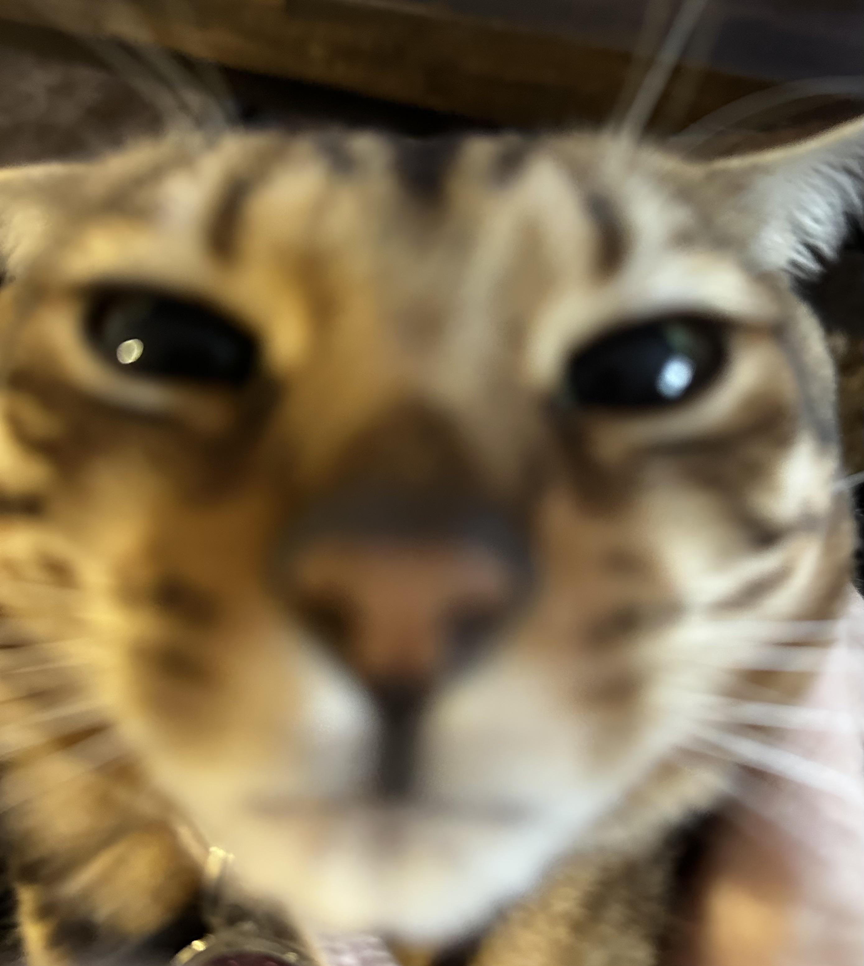 Discover more like Polaroid: First time using a Polaroid, but definitely not the last time and ...