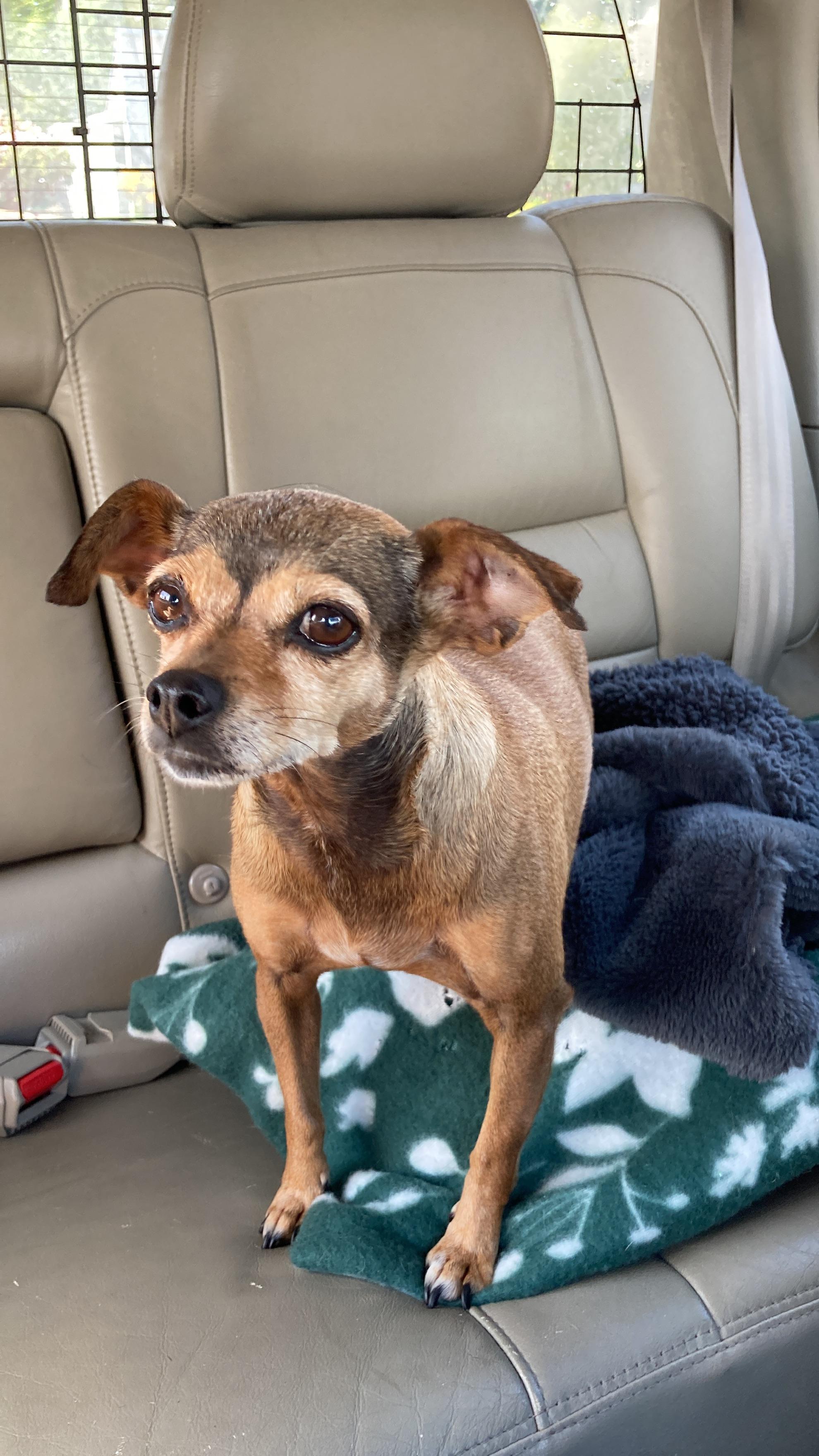 Facial pattern | Scrolller