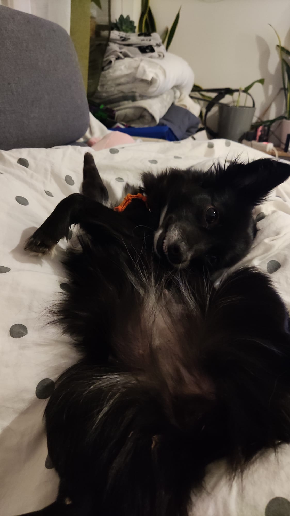 Lip got stuck in between lips before falling asleep | Scrolller