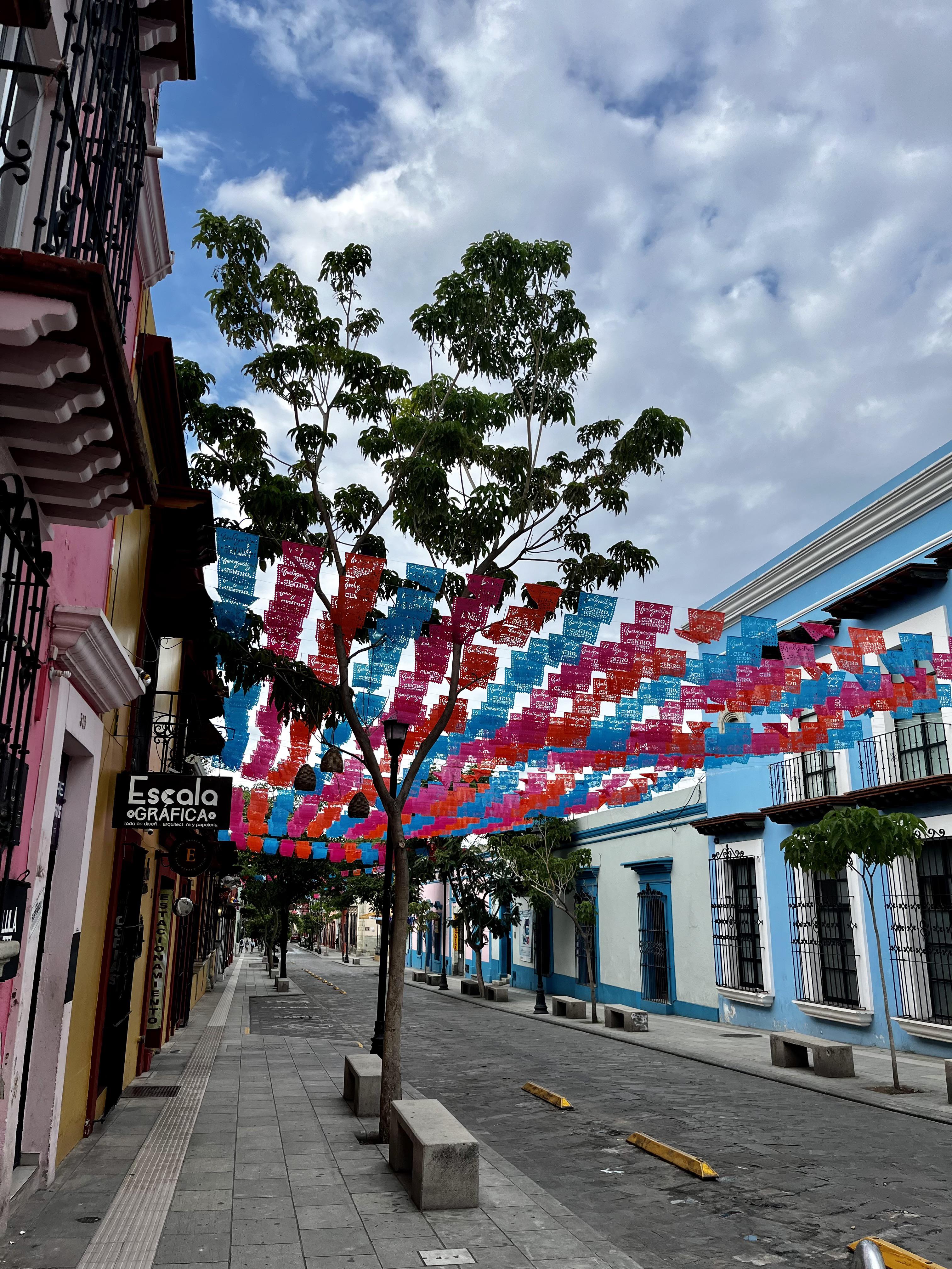 Oaxaca City, August 2023 | Scrolller