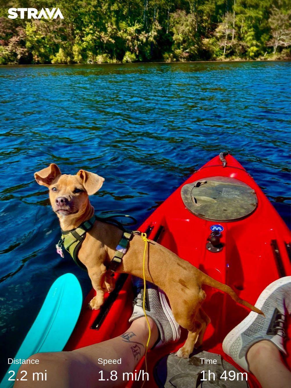 First time kayaking for Sierra | Scrolller