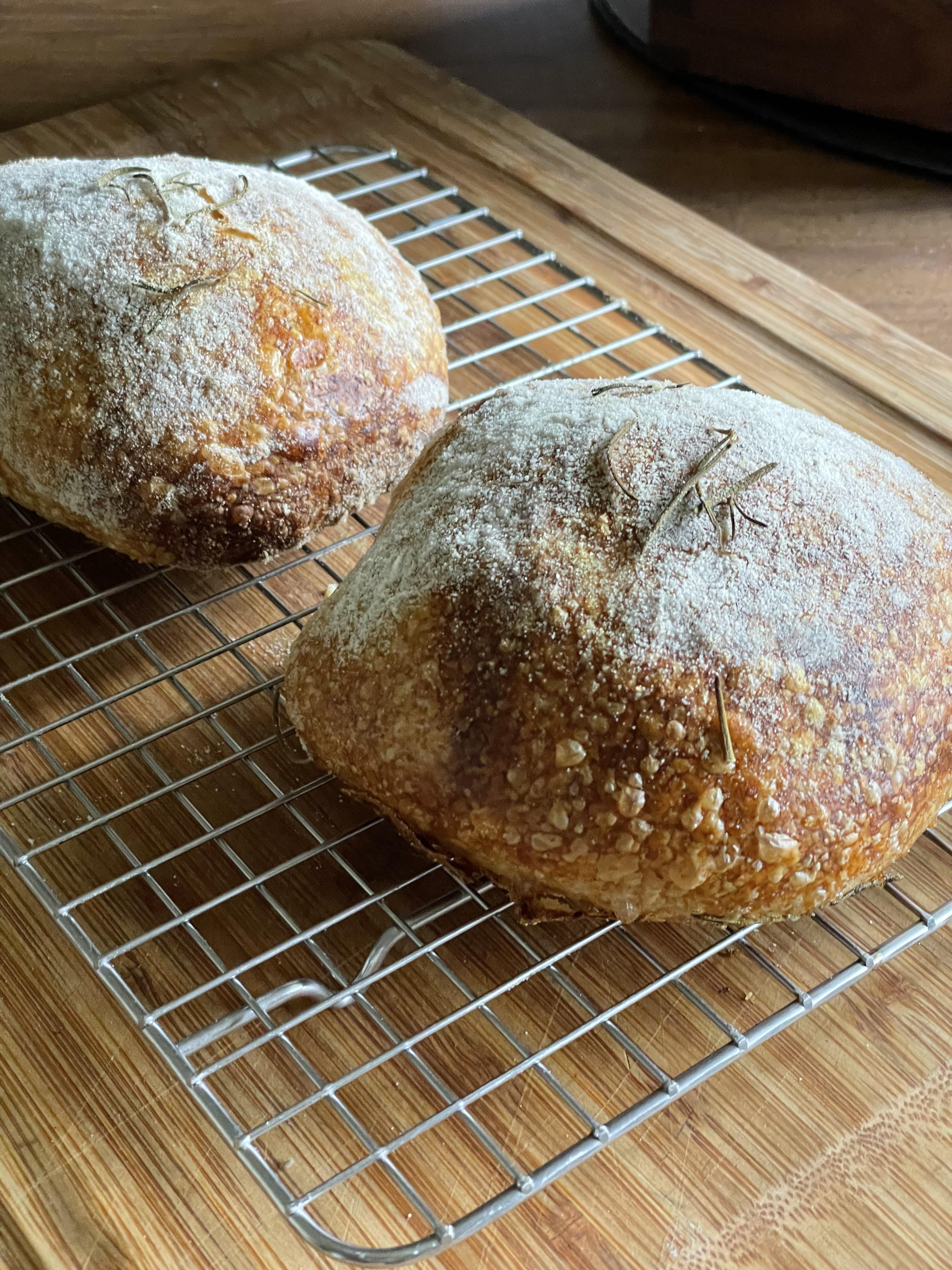 Sourdough ~ciabatta | Scrolller