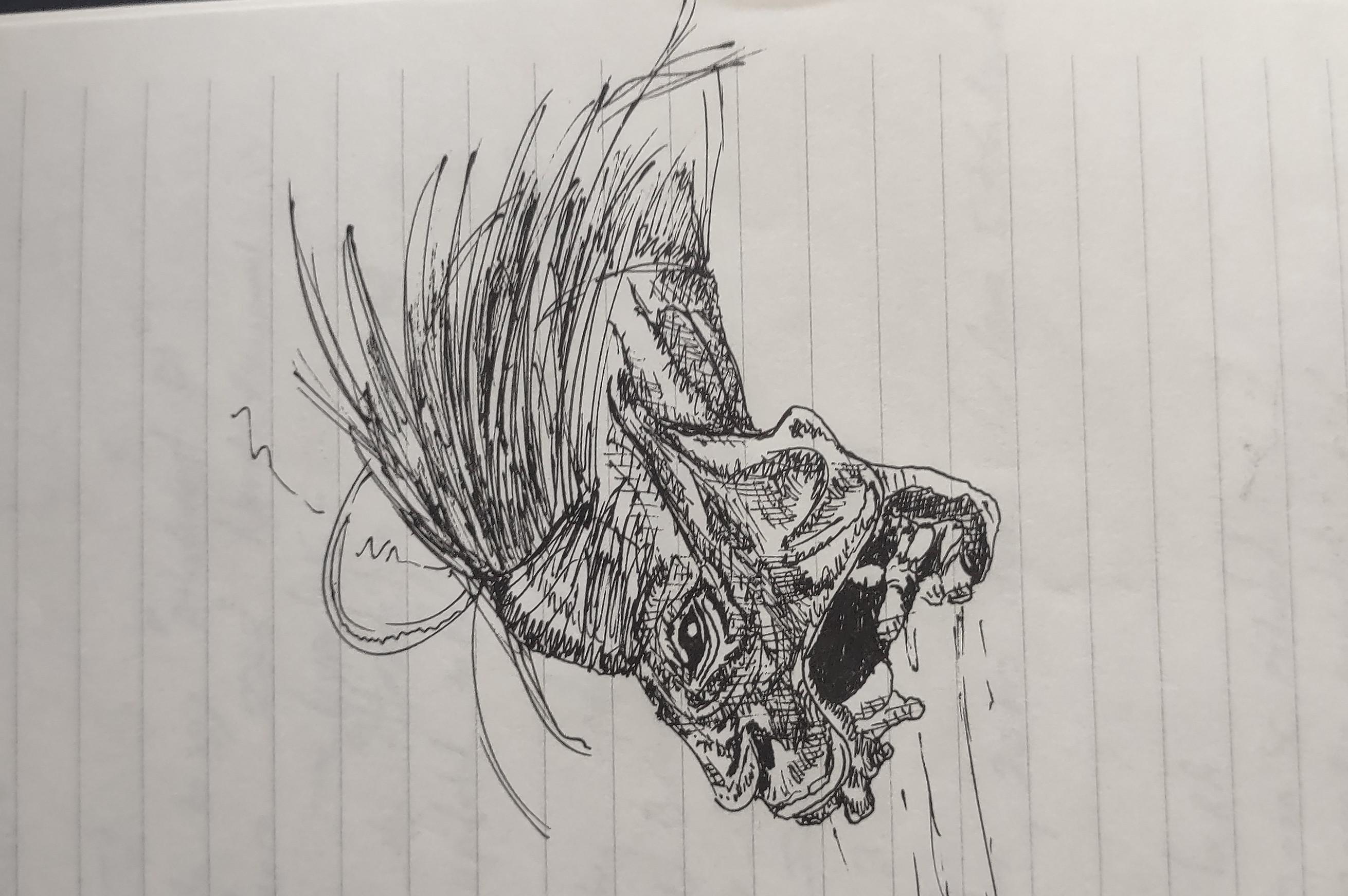 Some more doodles | Scrolller