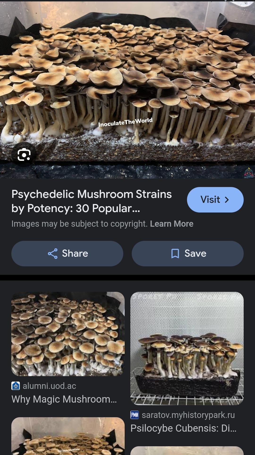 [Actives] Do I need to harvest? | Scrolller