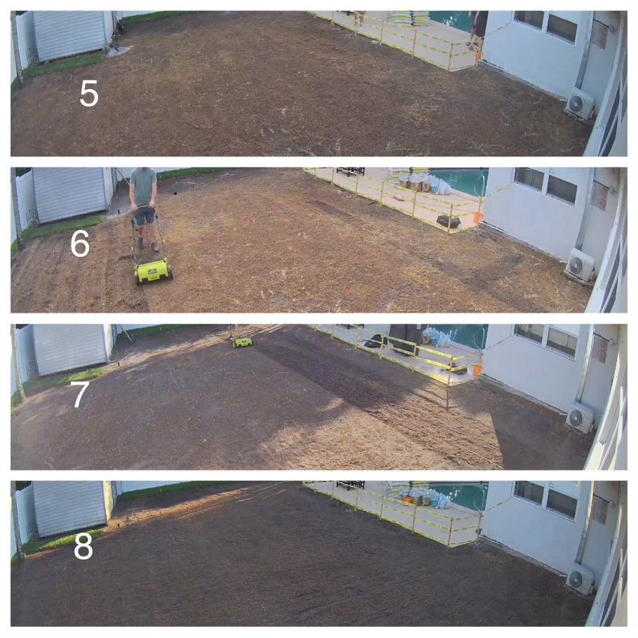 New lawn renovation project | Scrolller