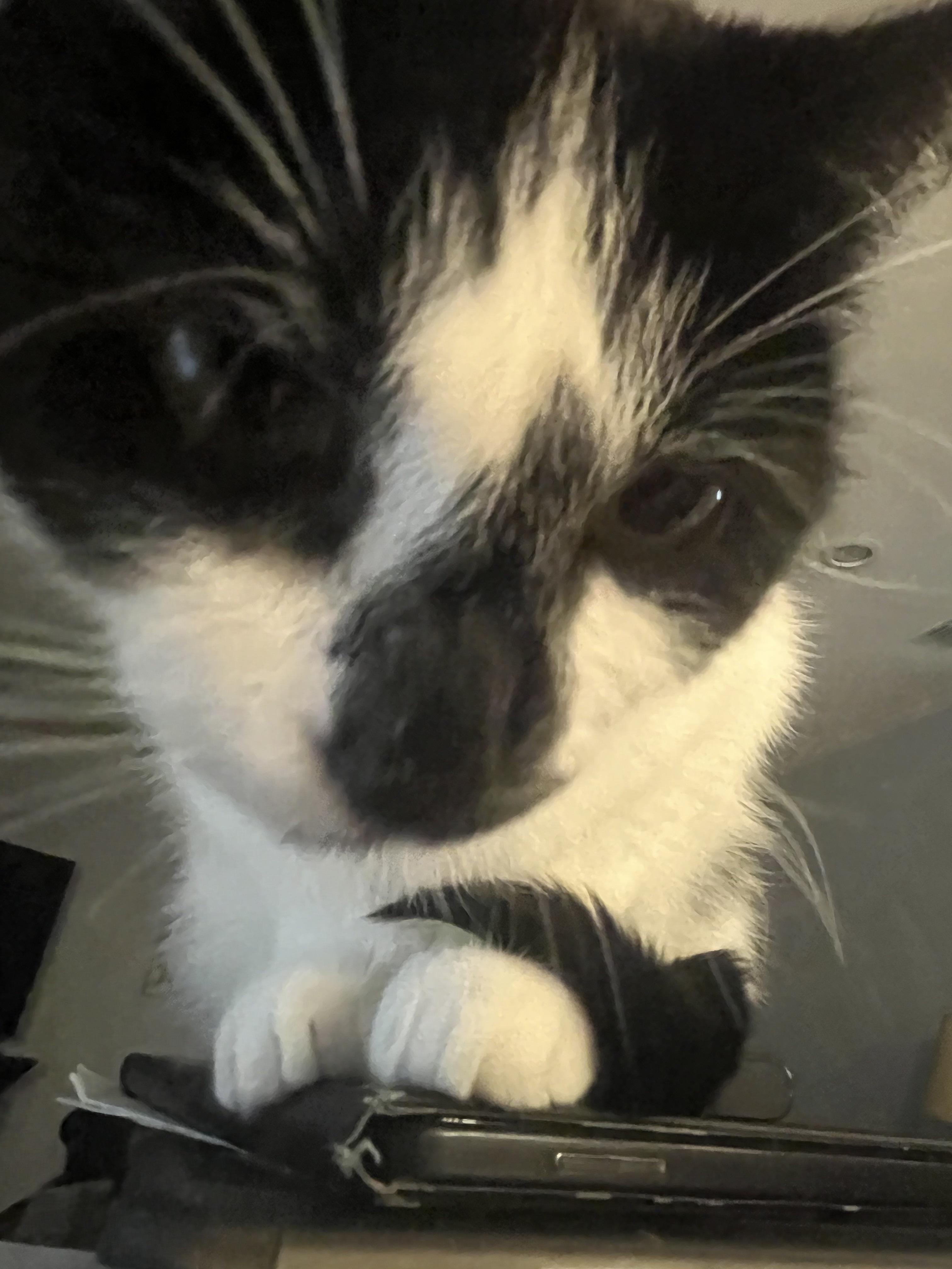 She’s purring | Scrolller