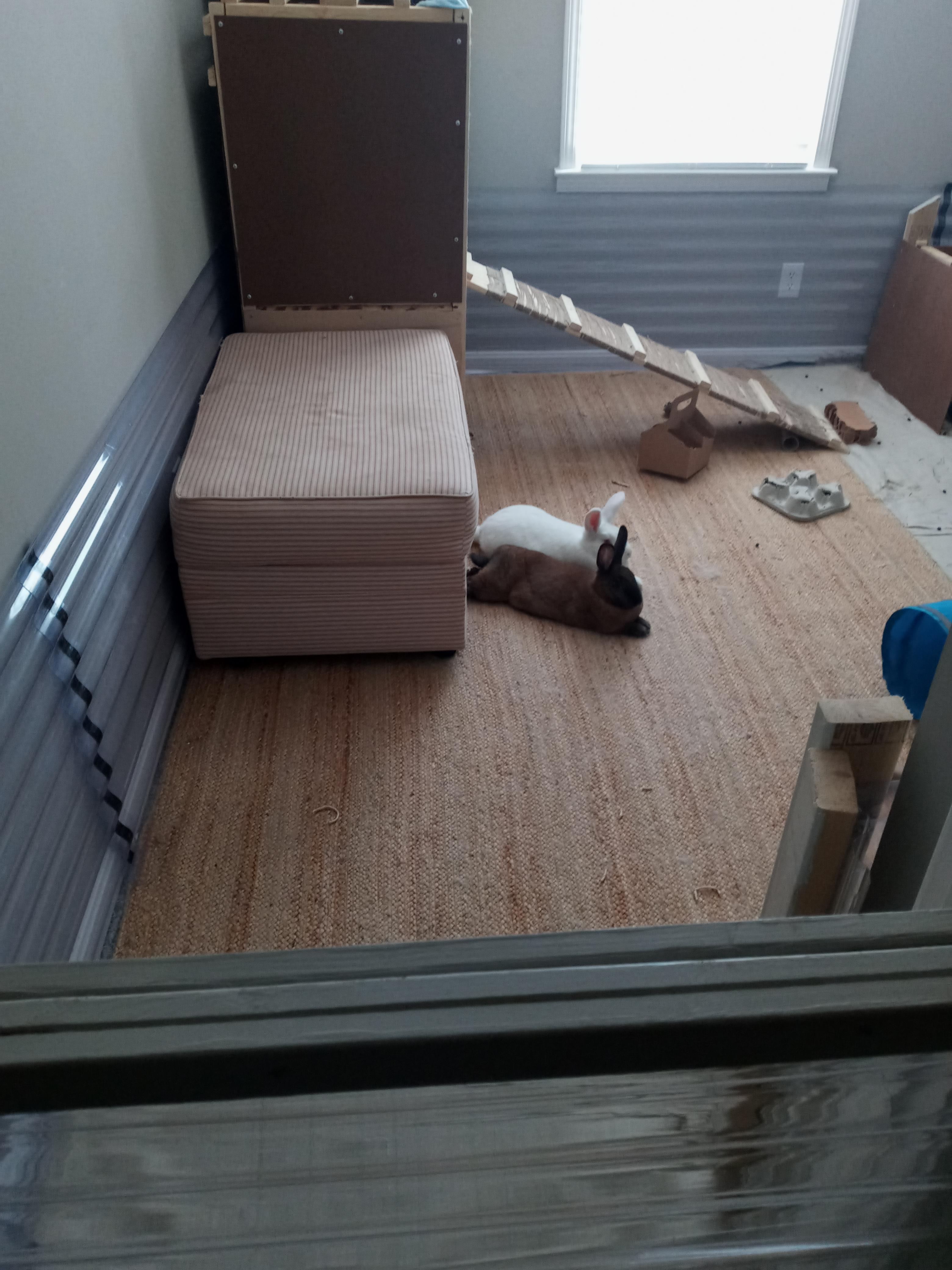 Parallel Splooting | Scrolller