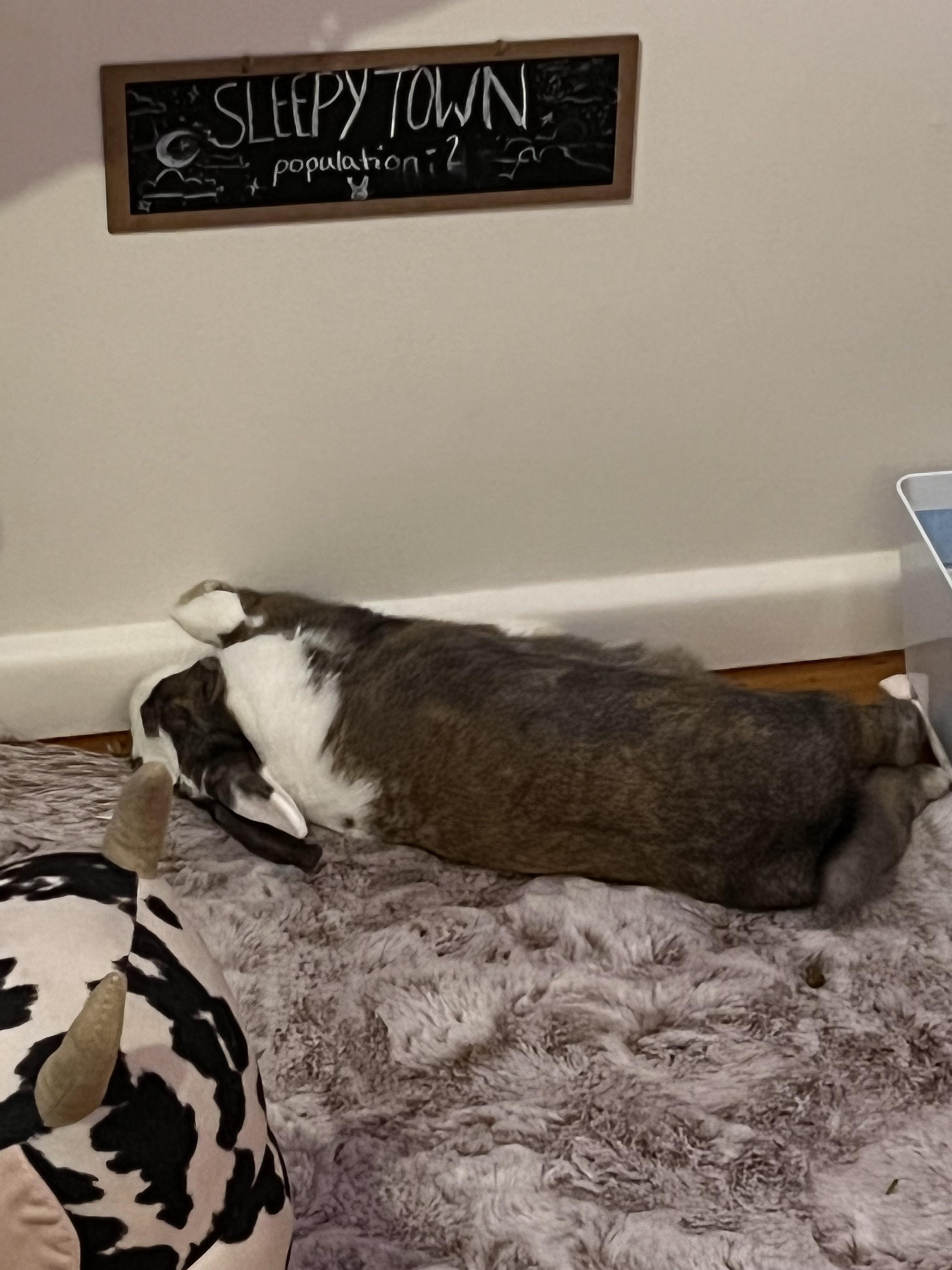 When the veggies hit | Scrolller