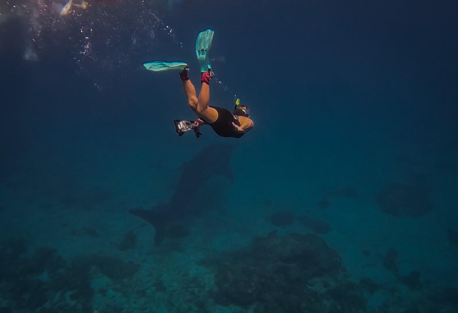 Snorkeling with Whalesharks in Pintuyan Southern Leyte | Scrolller