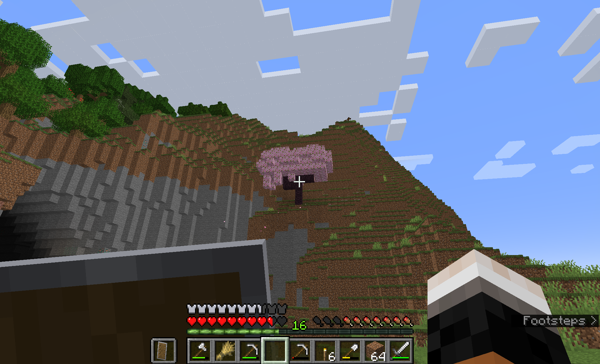 Smallest cherry grove biome? | Scrolller