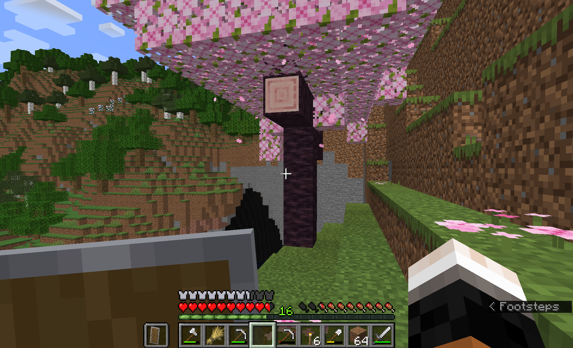 Smallest cherry grove biome? | Scrolller