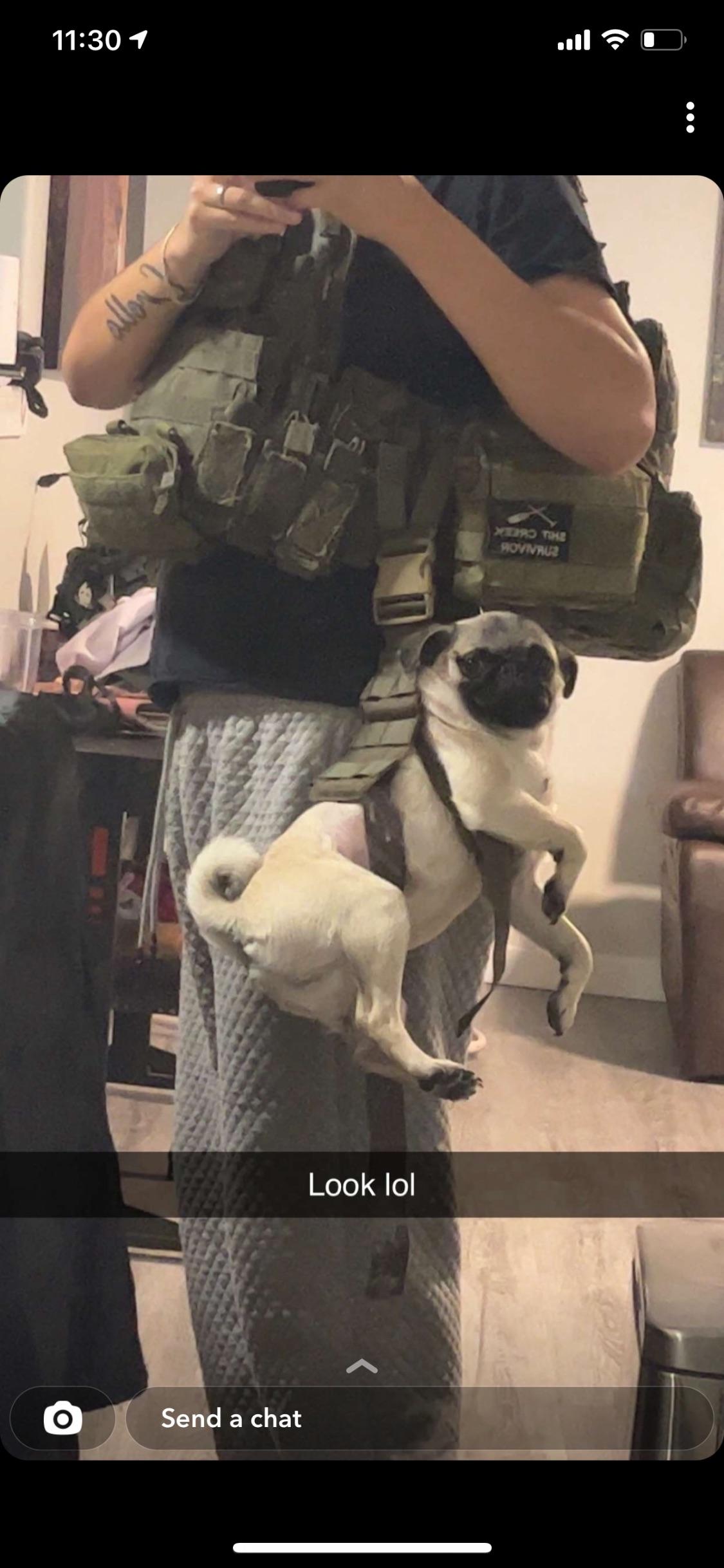 Ranger Green Loadout | Scrolller