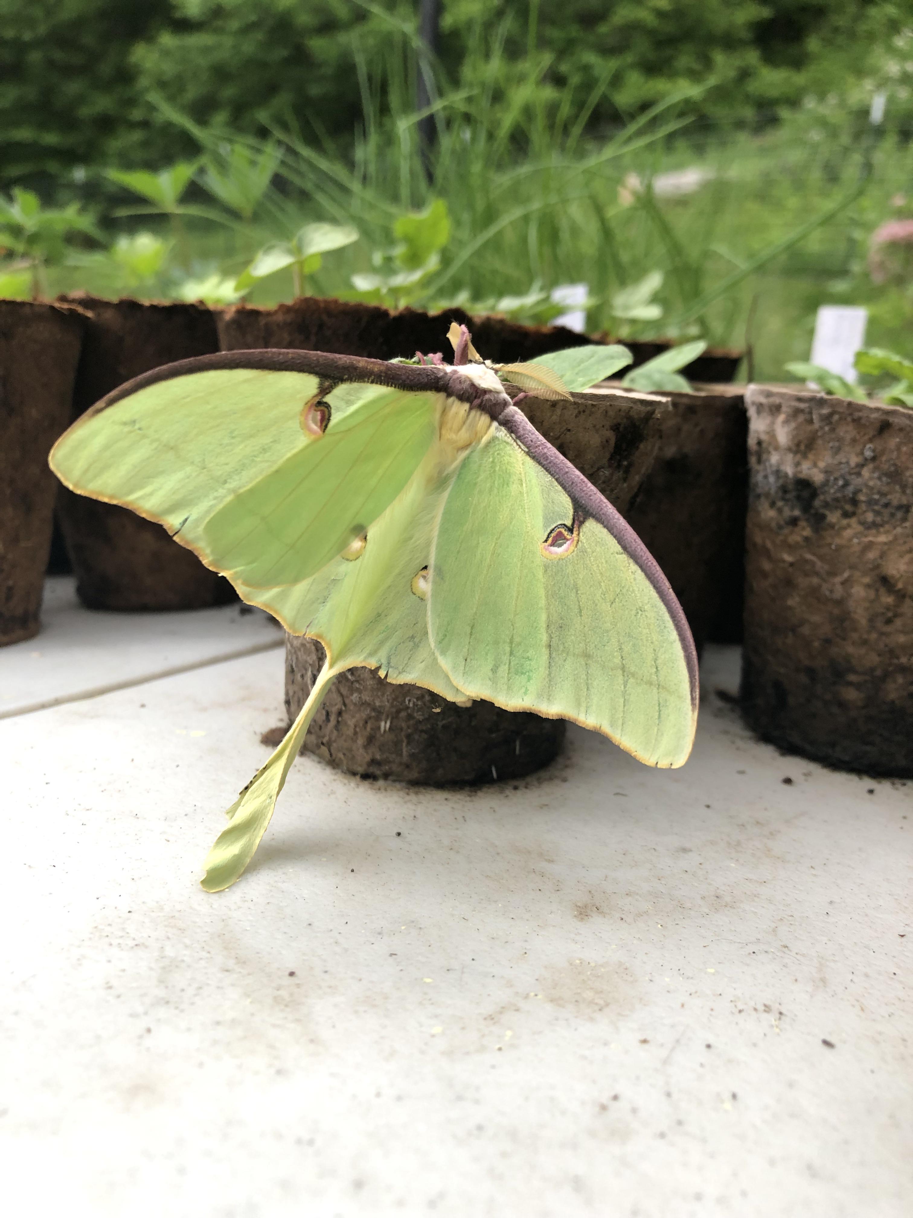 Surprise visitor this morning | Scrolller