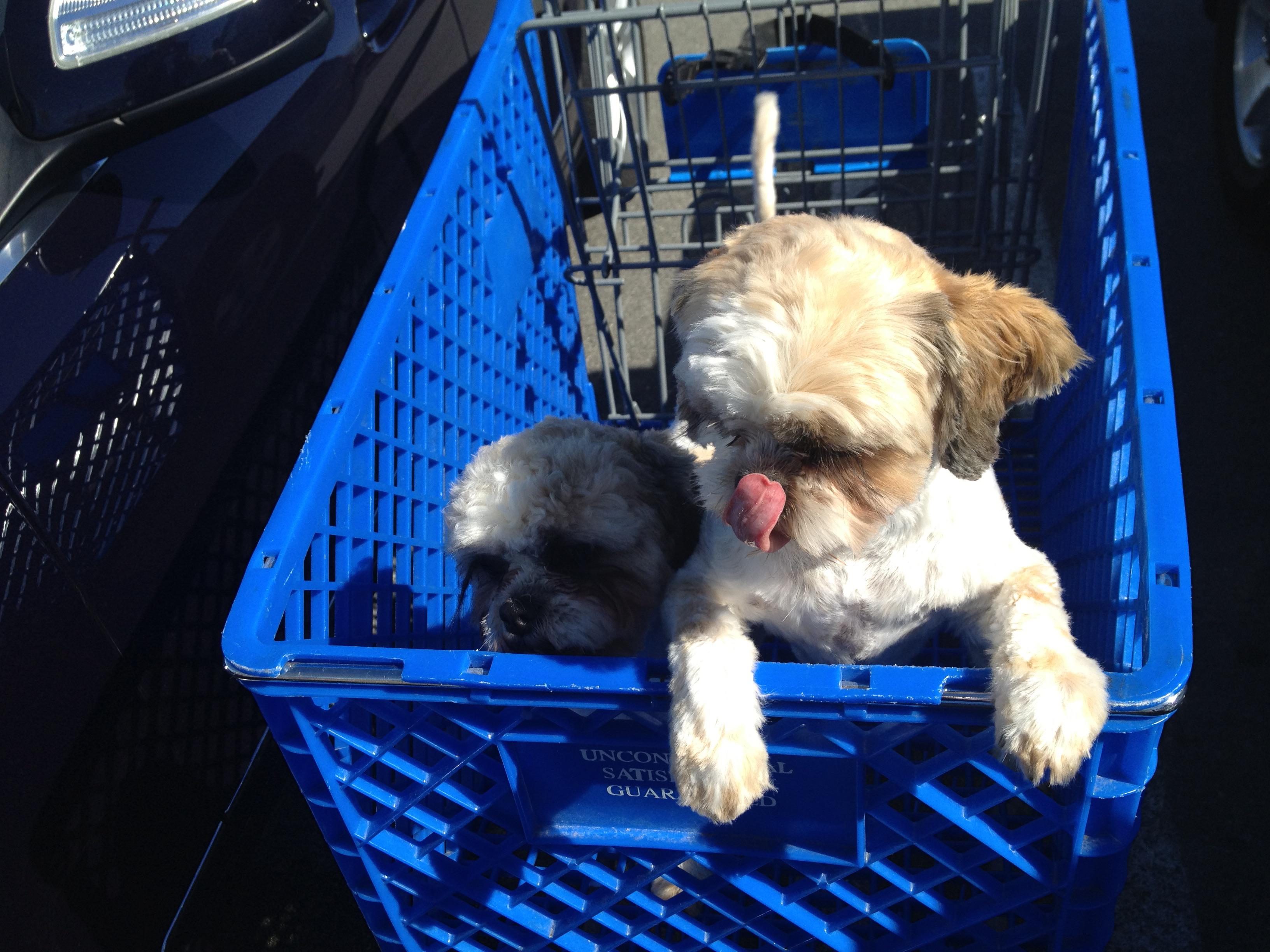 Monsters | Scrolller