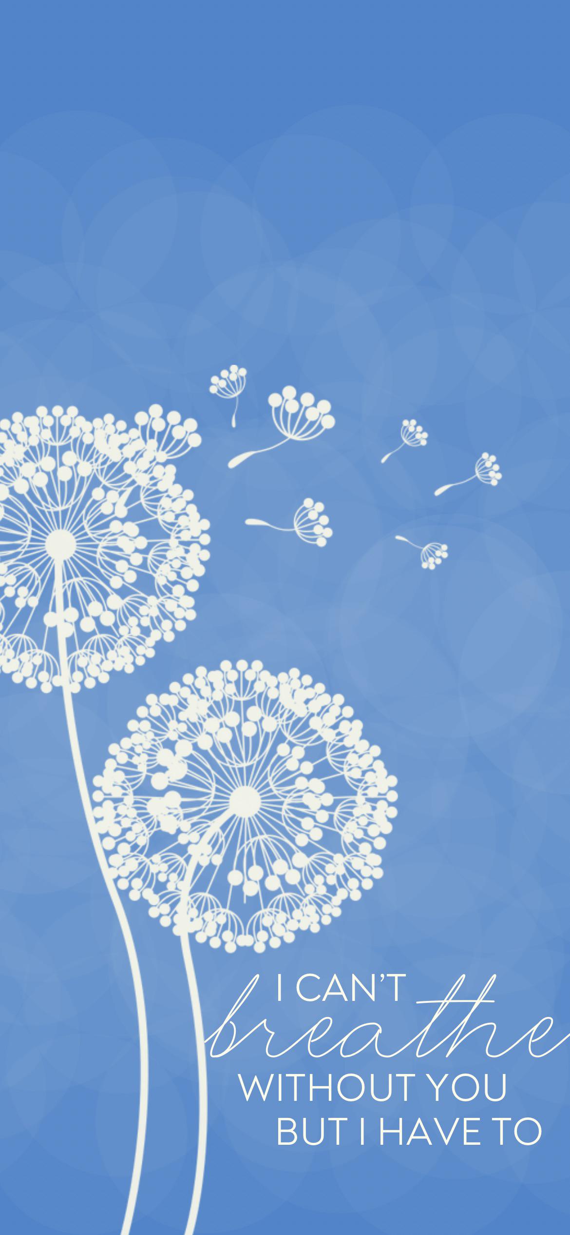 Lyric Backgrounds Pt. III | Scrolller