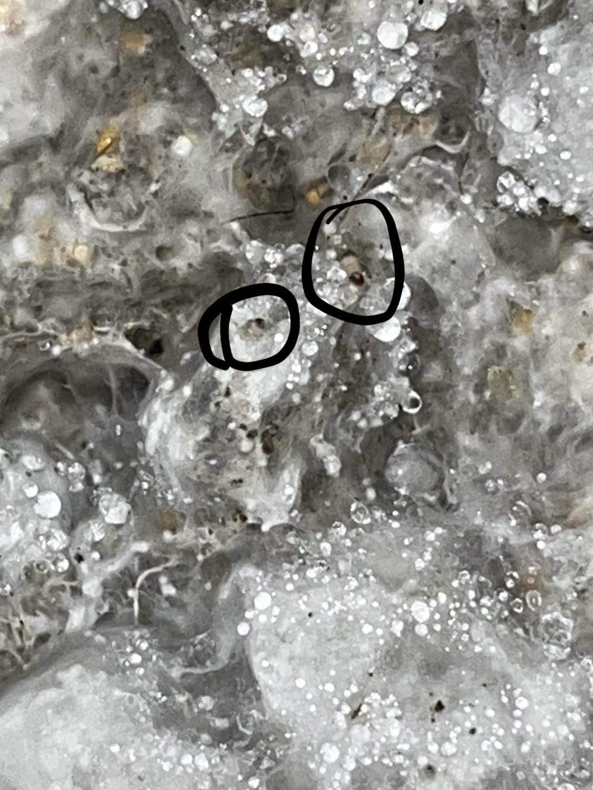 [Actives] First ever pins! Is my myc too wet? | Scrolller
