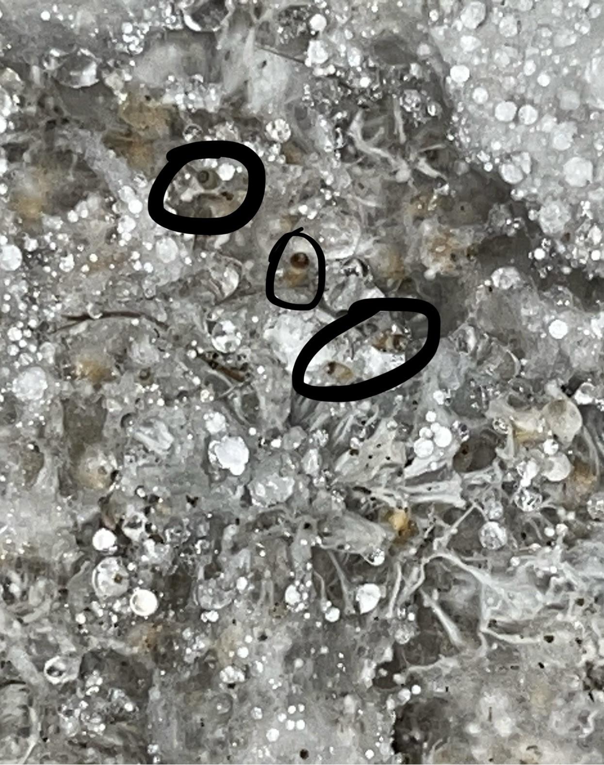 [Actives] First ever pins! Is my myc too wet? | Scrolller