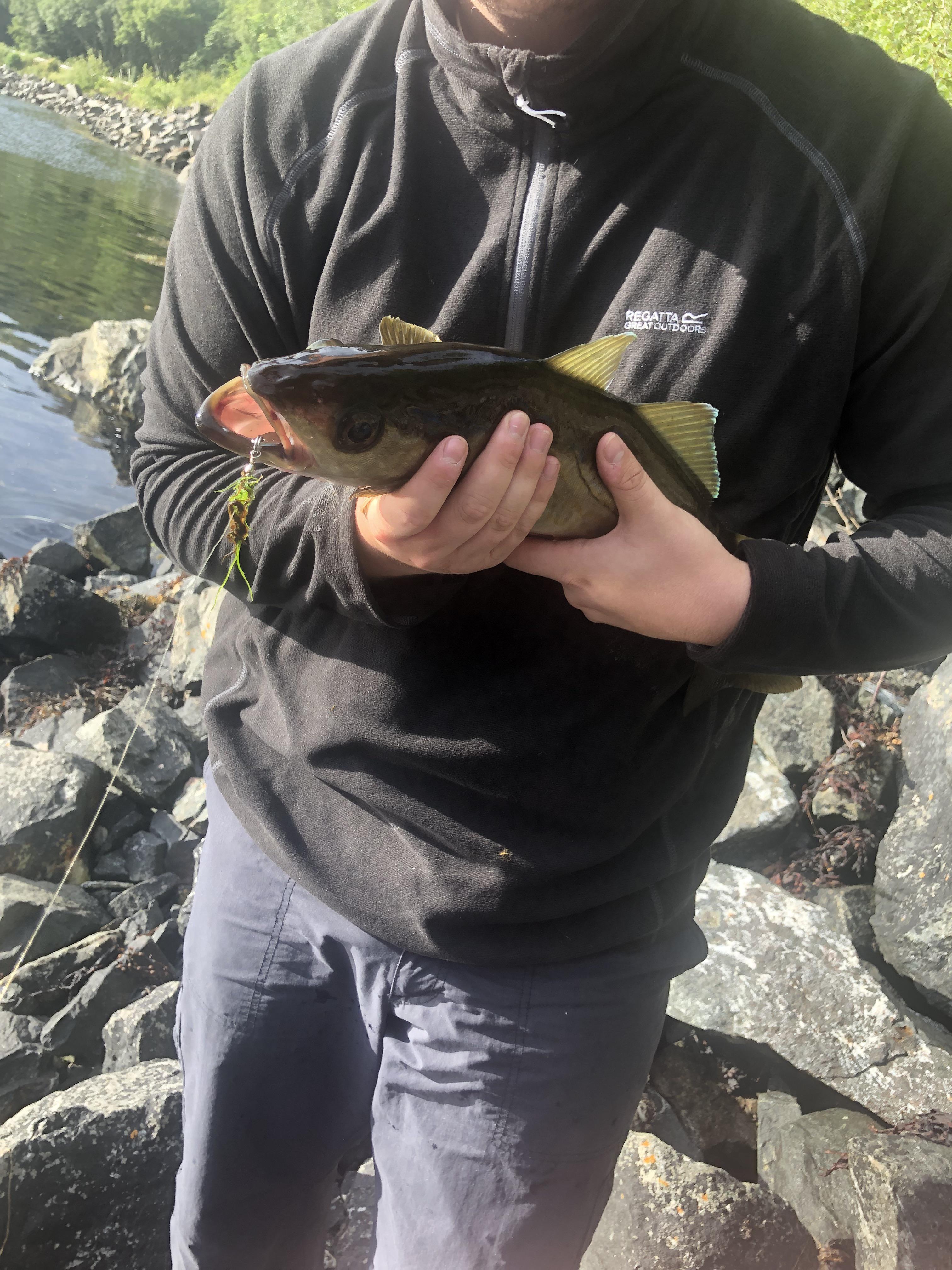 Fish identification | Scrolller