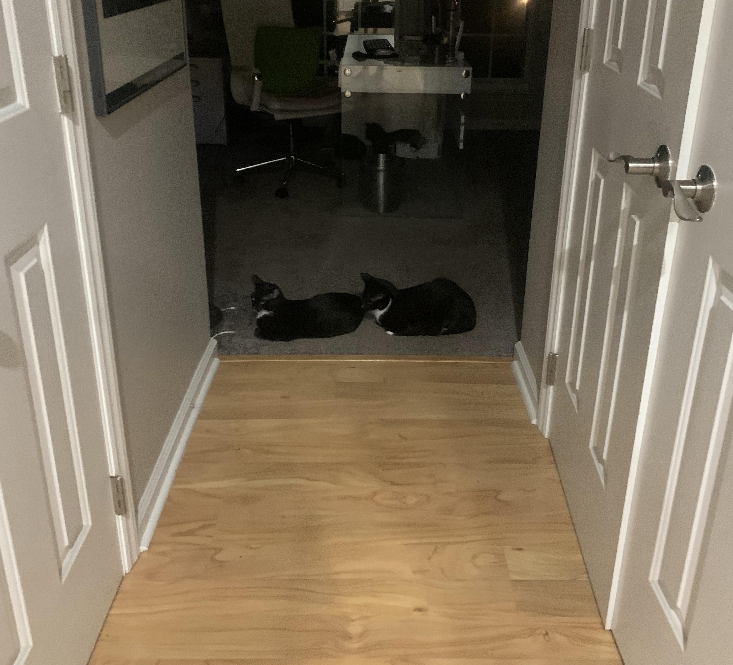 Double loaf | Scrolller