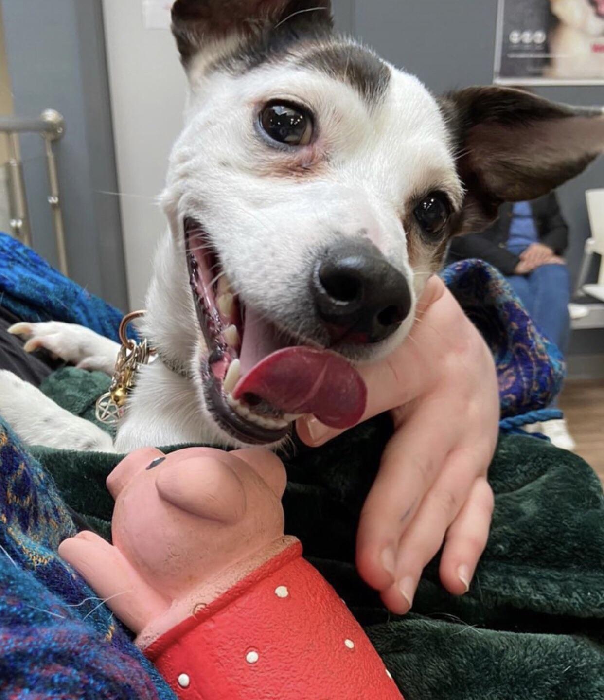 Kasper. AKA - special K | Scrolller