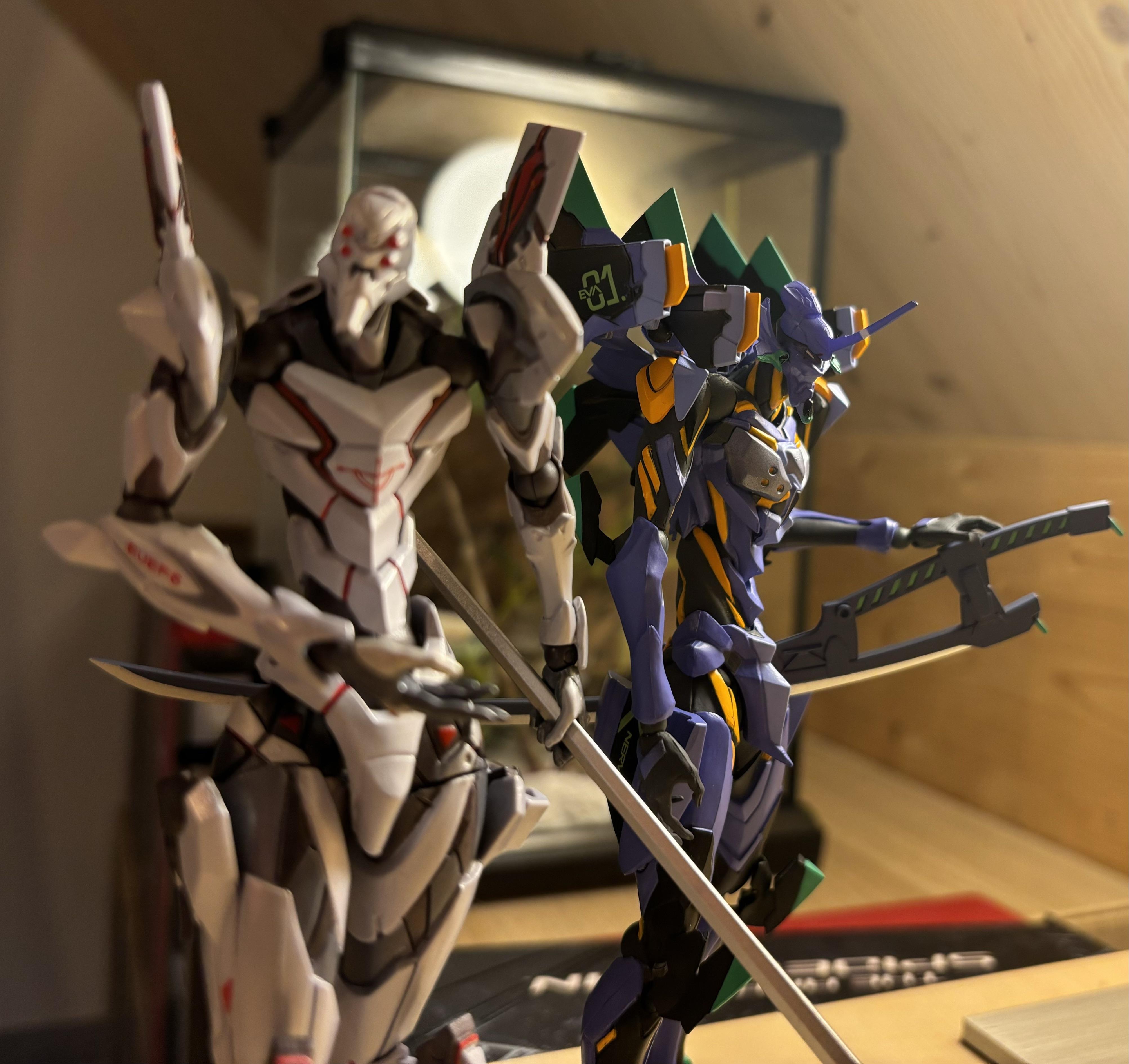 Finally Euro ll came in, what a beauty of an Eva. | Scrolller