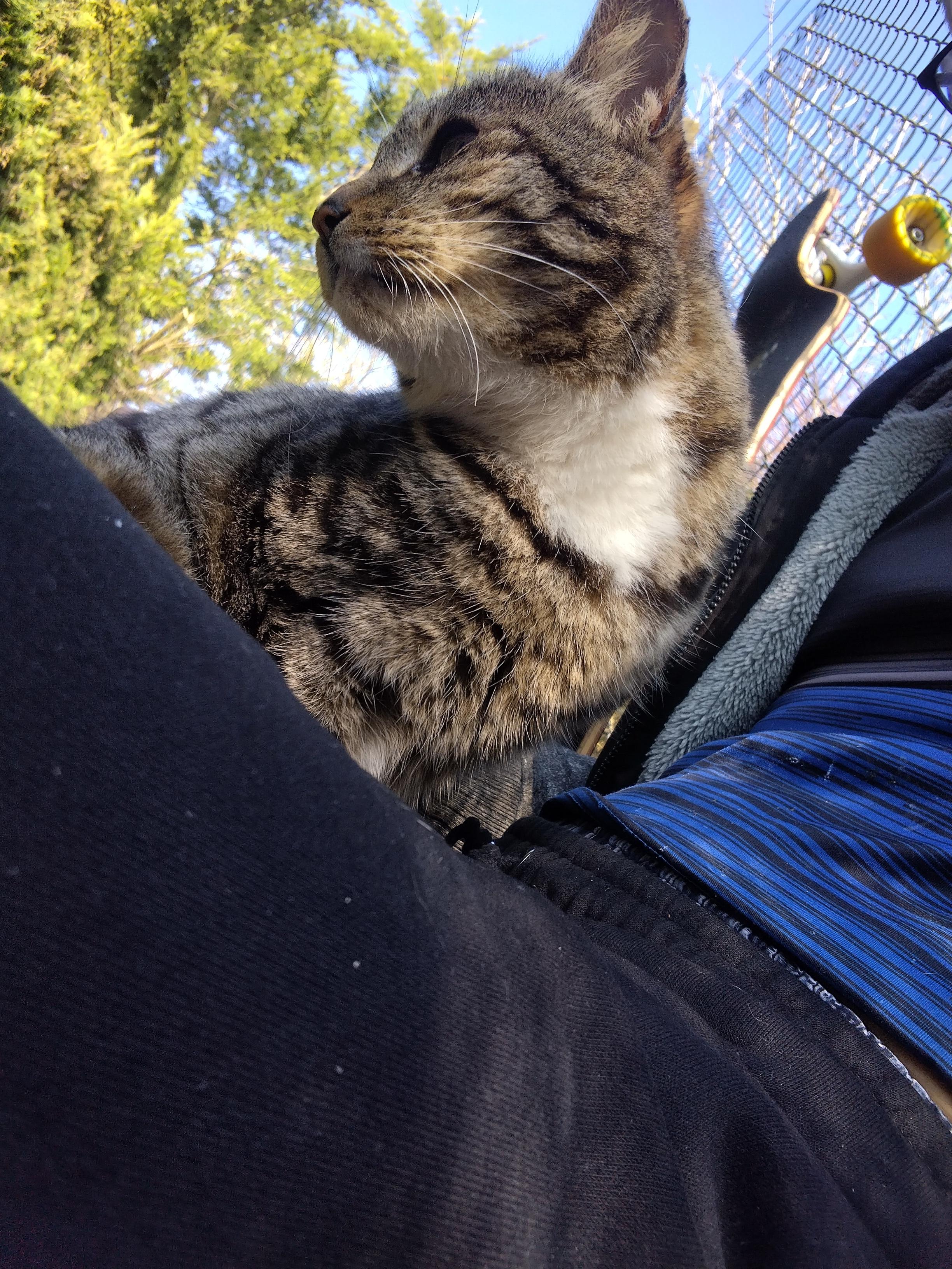 Discover more like Standardissuecat: The goober™ has returned and ...