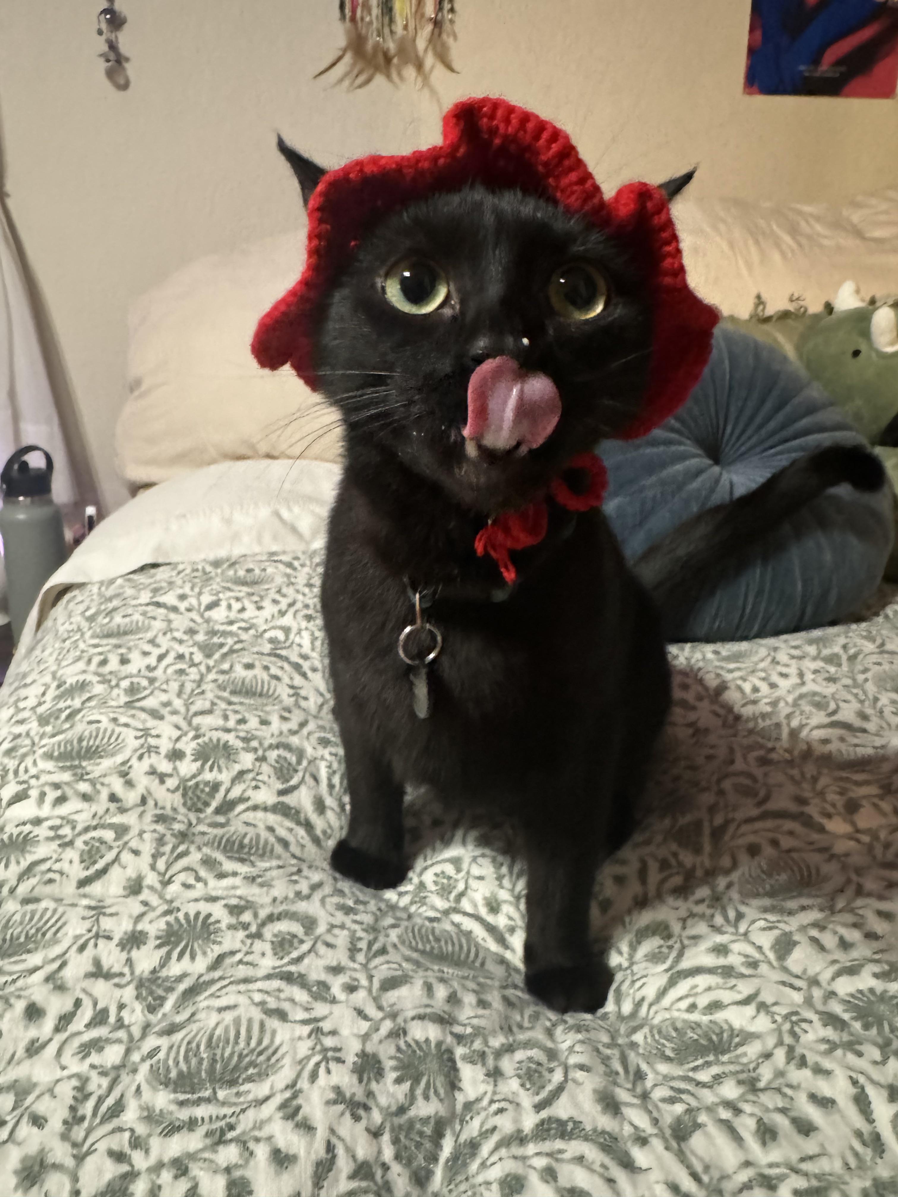 Frankenstein | Scrolller