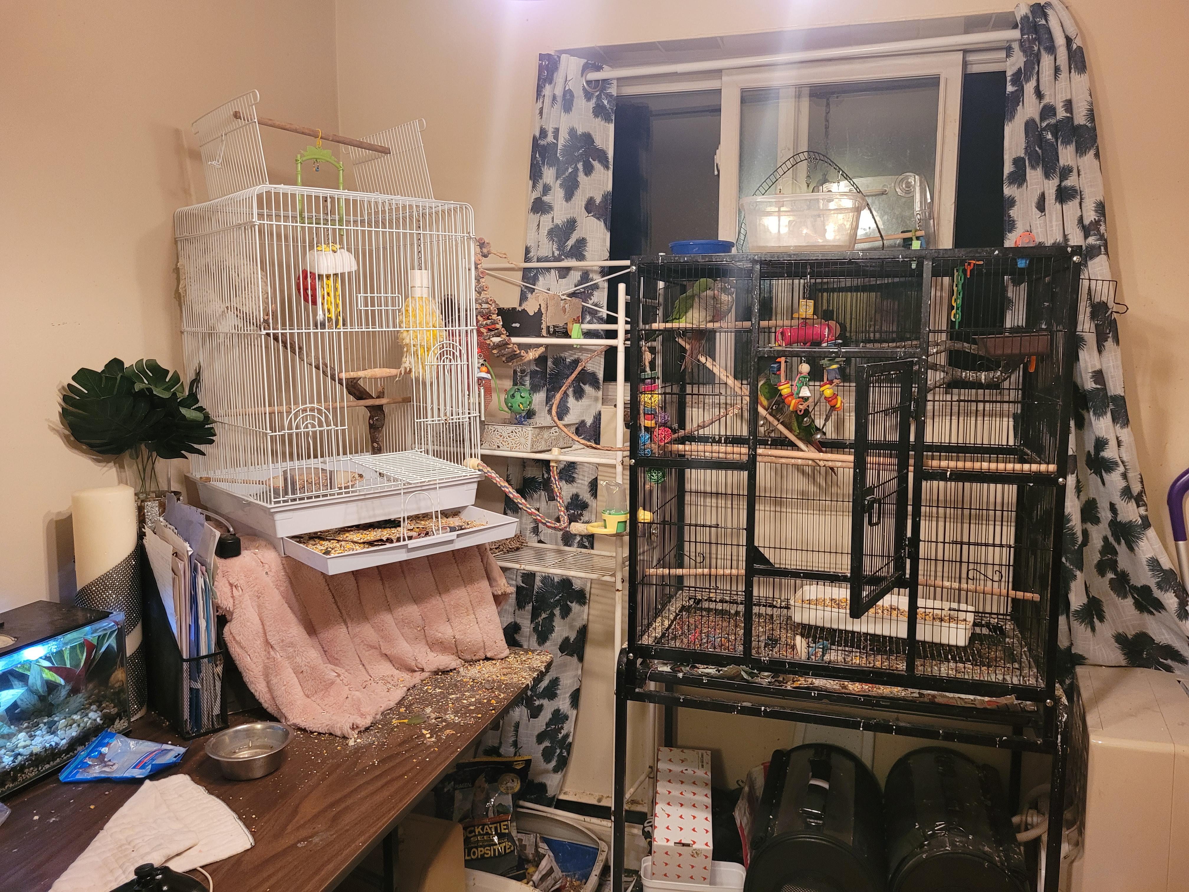 Posted 5 months ago, here's a cage update | Scrolller