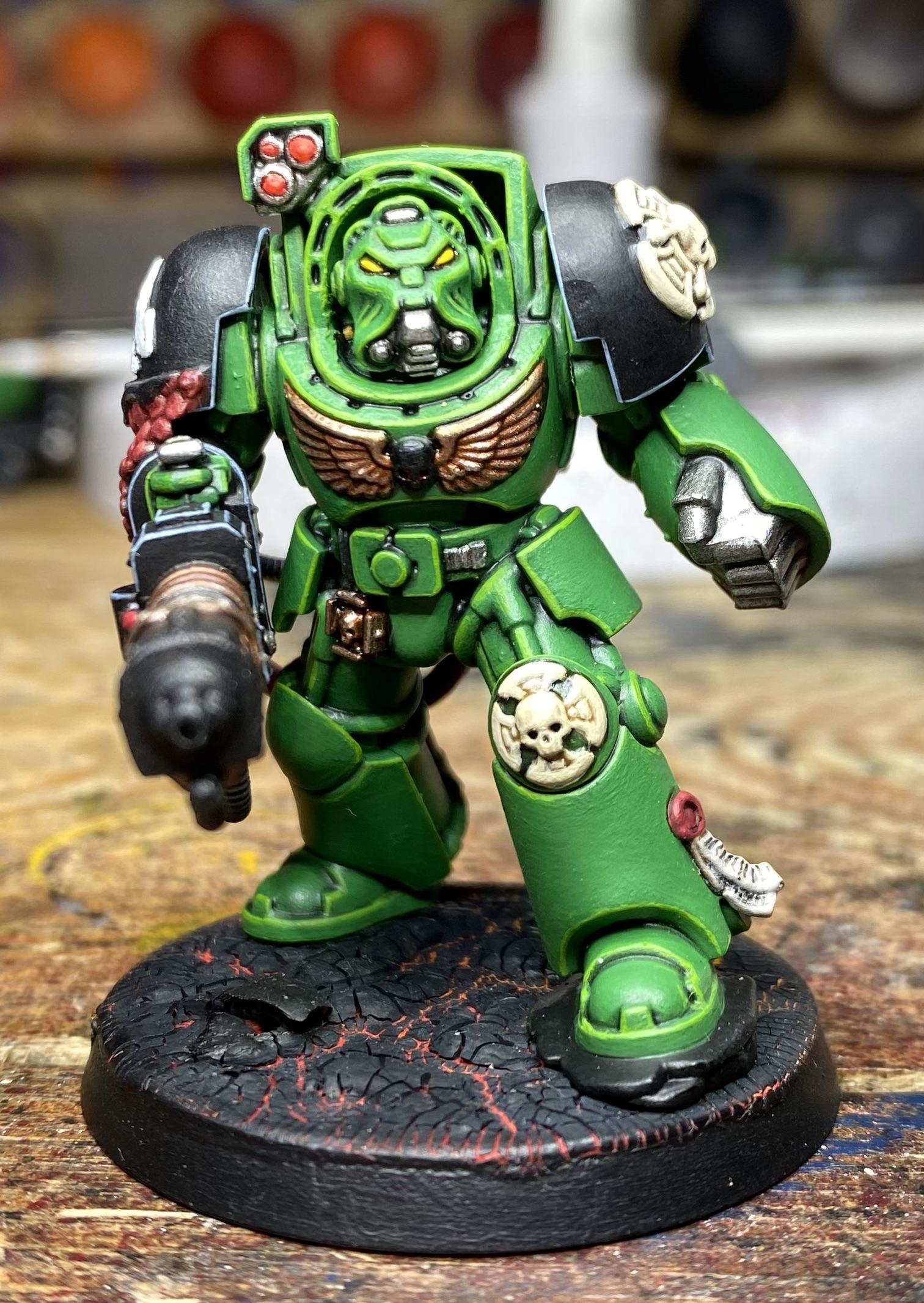 Salamanders terminator | Scrolller