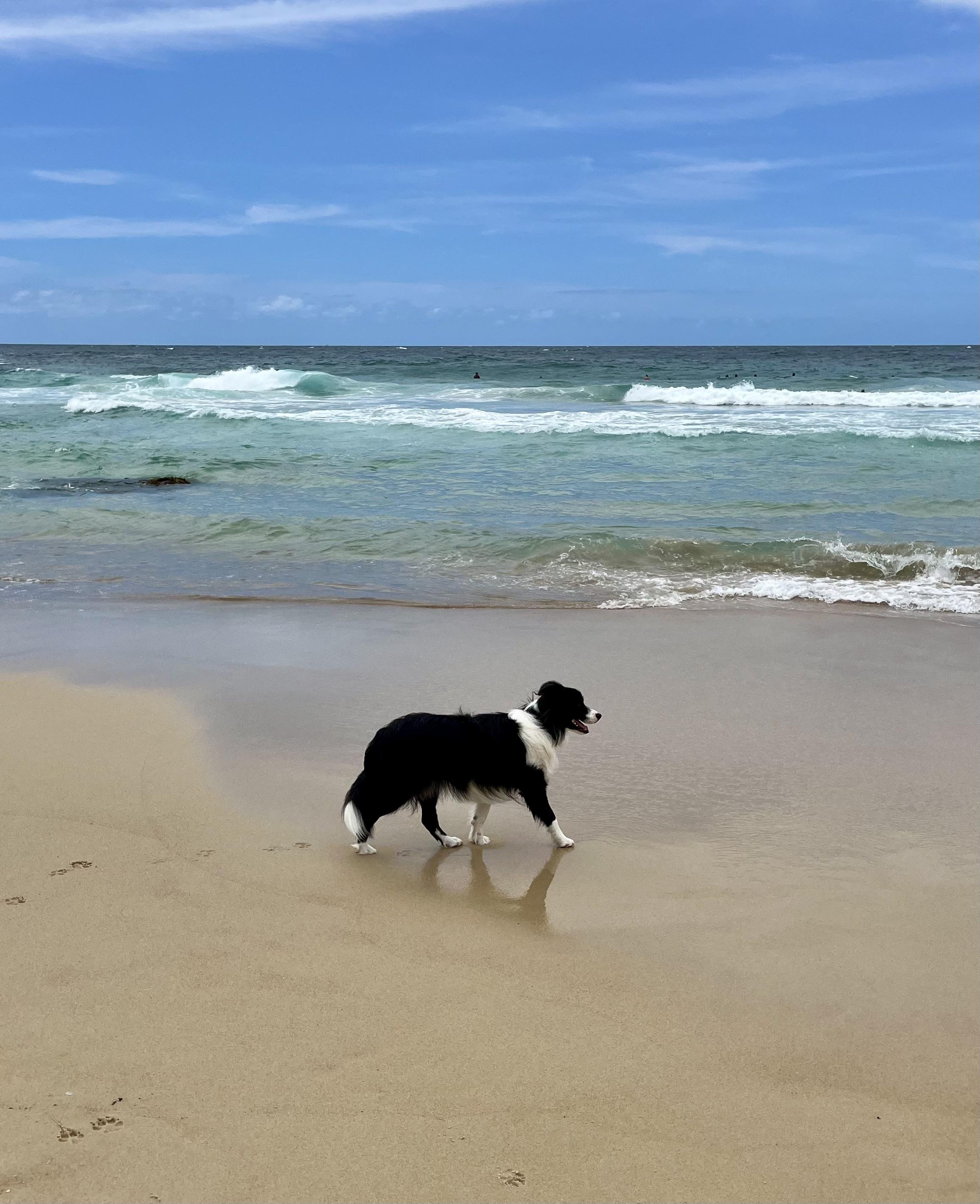 Summertime | Scrolller