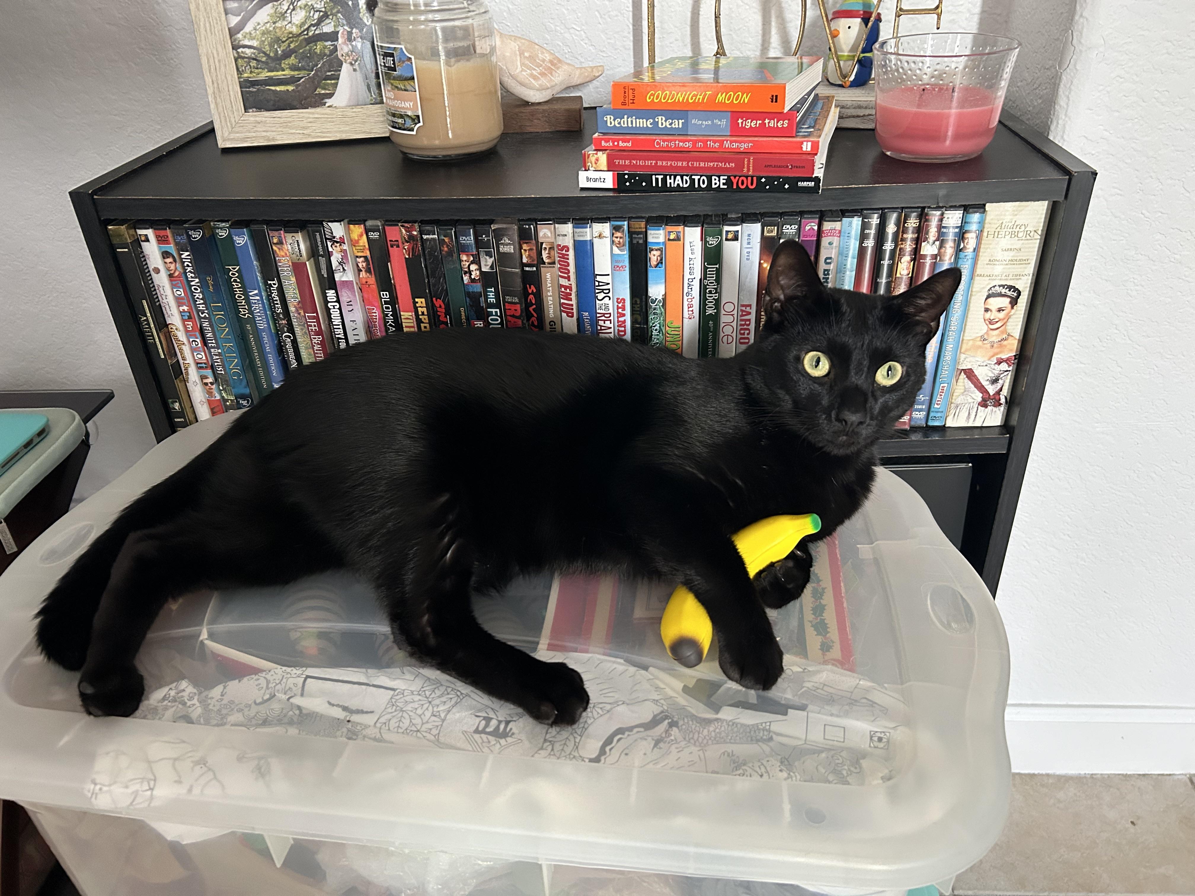 Banana Void | Scrolller