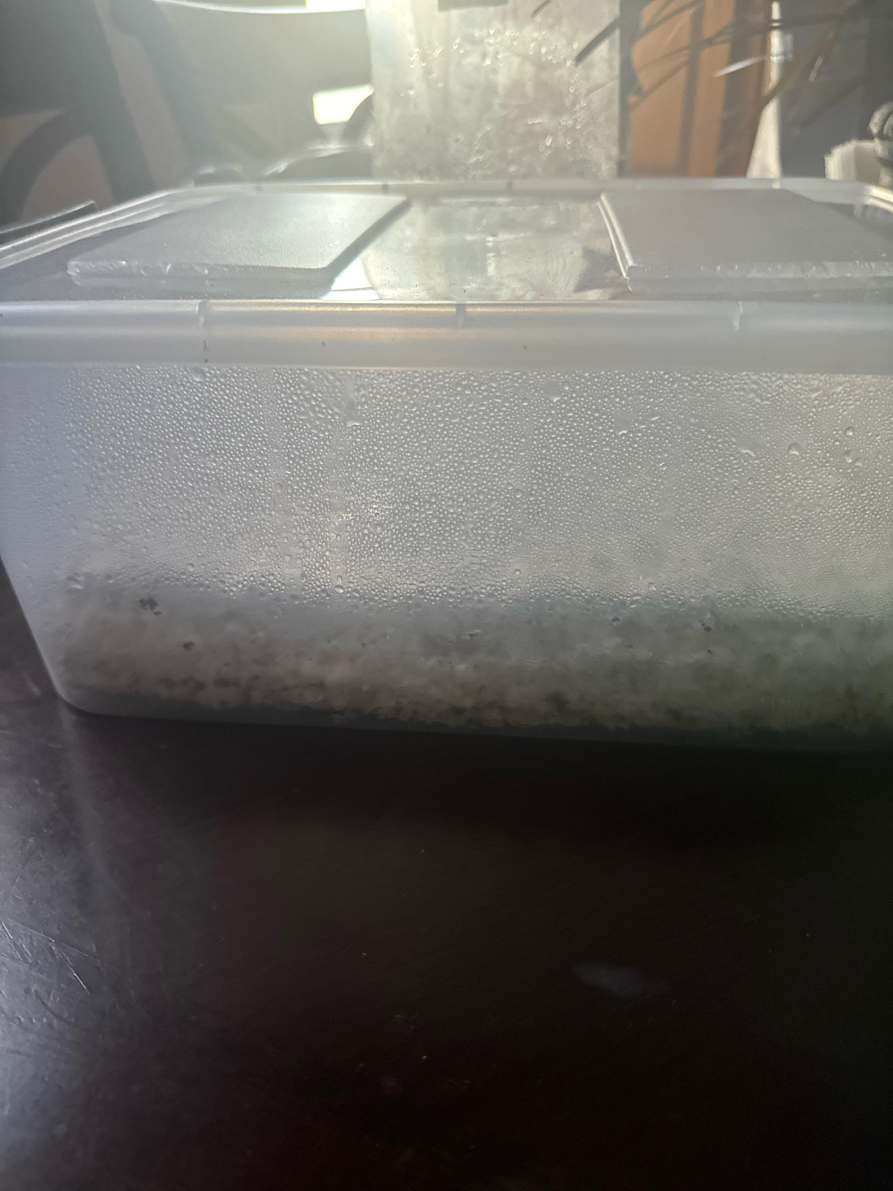 [actives] what’s my next step ?any advice helps S2b last week | Scrolller