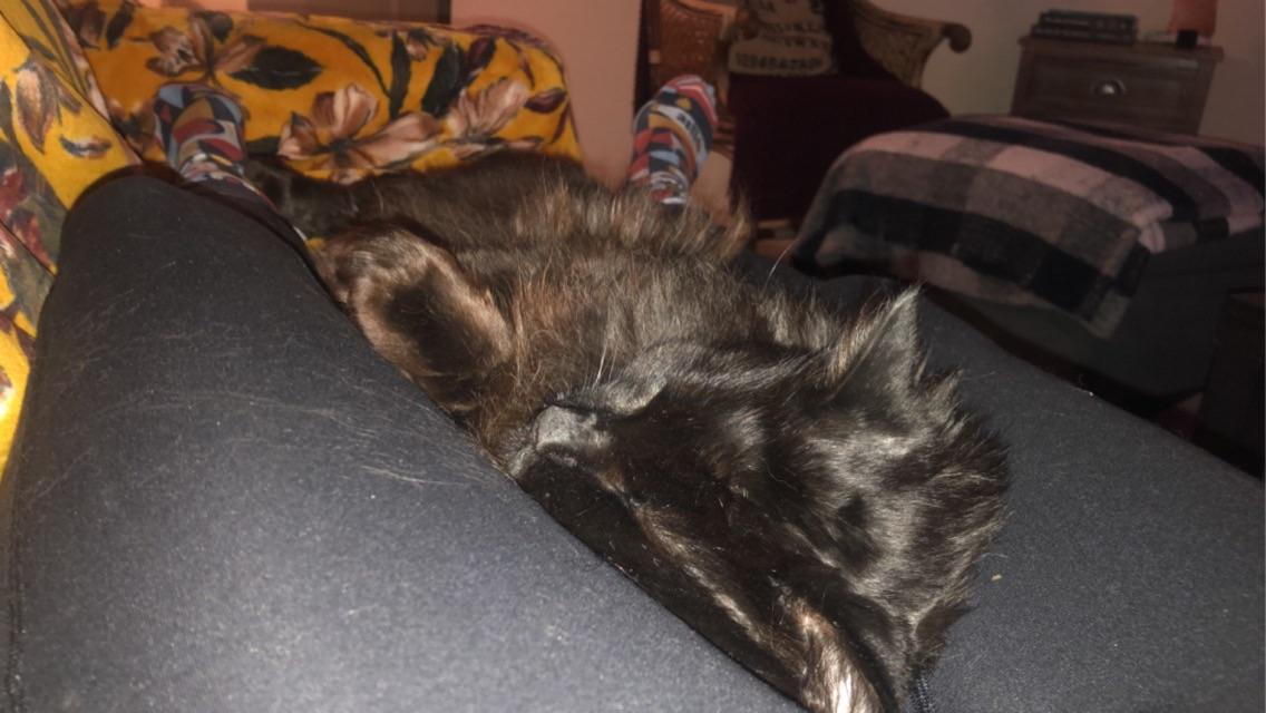 Cuddle the Void | Scrolller