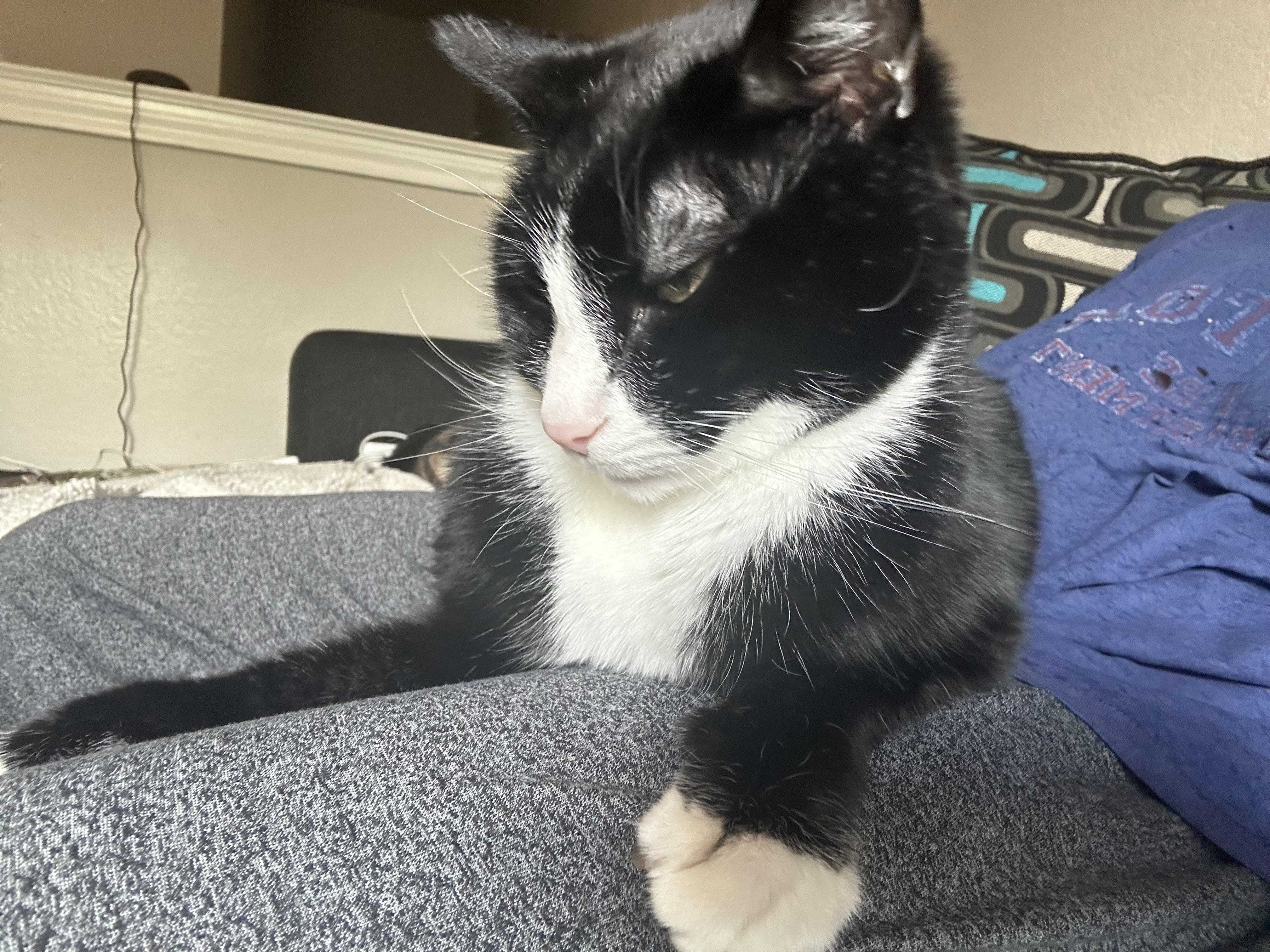 No Personal Space Scrolller