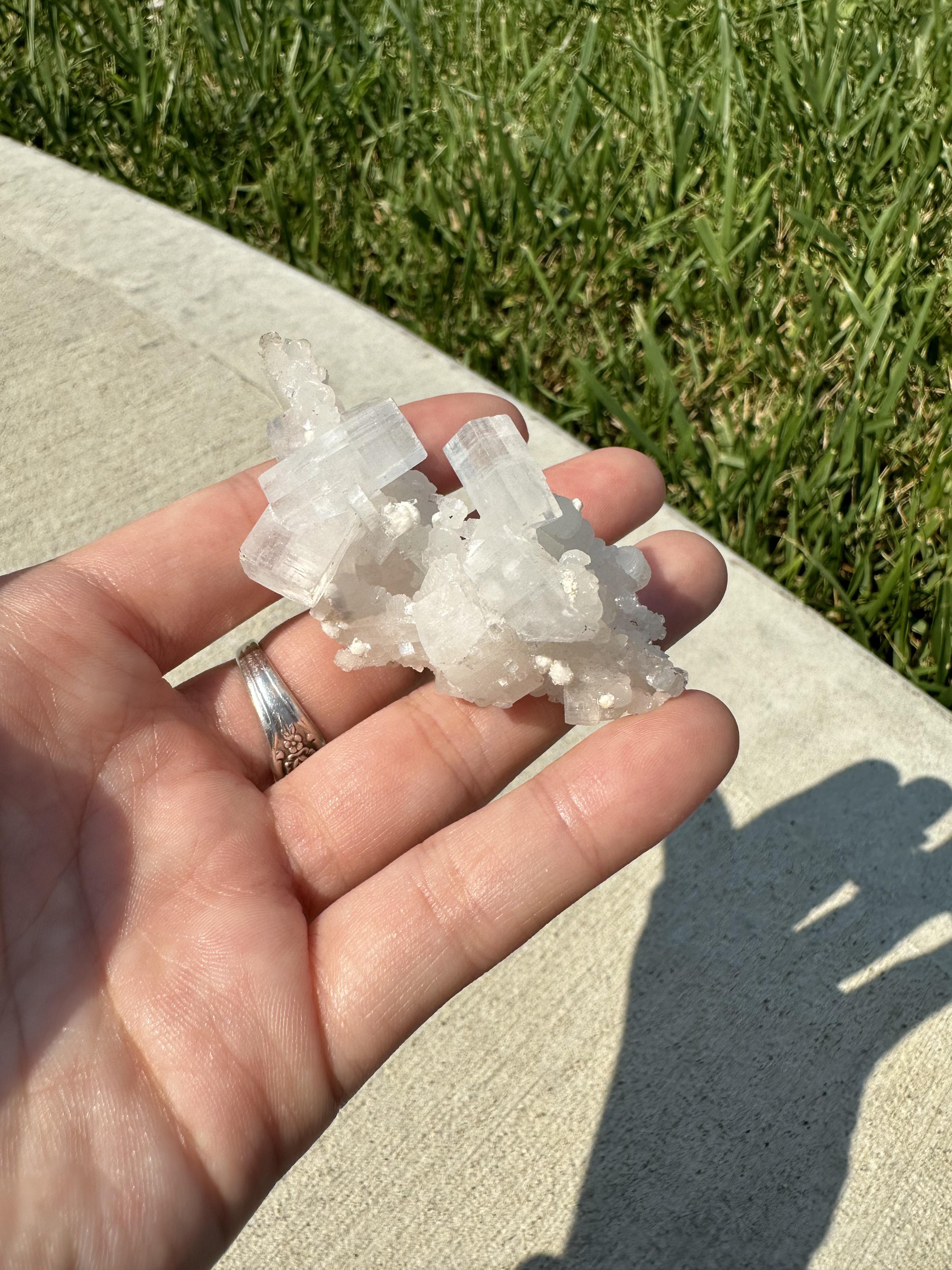 Identify? | Scrolller