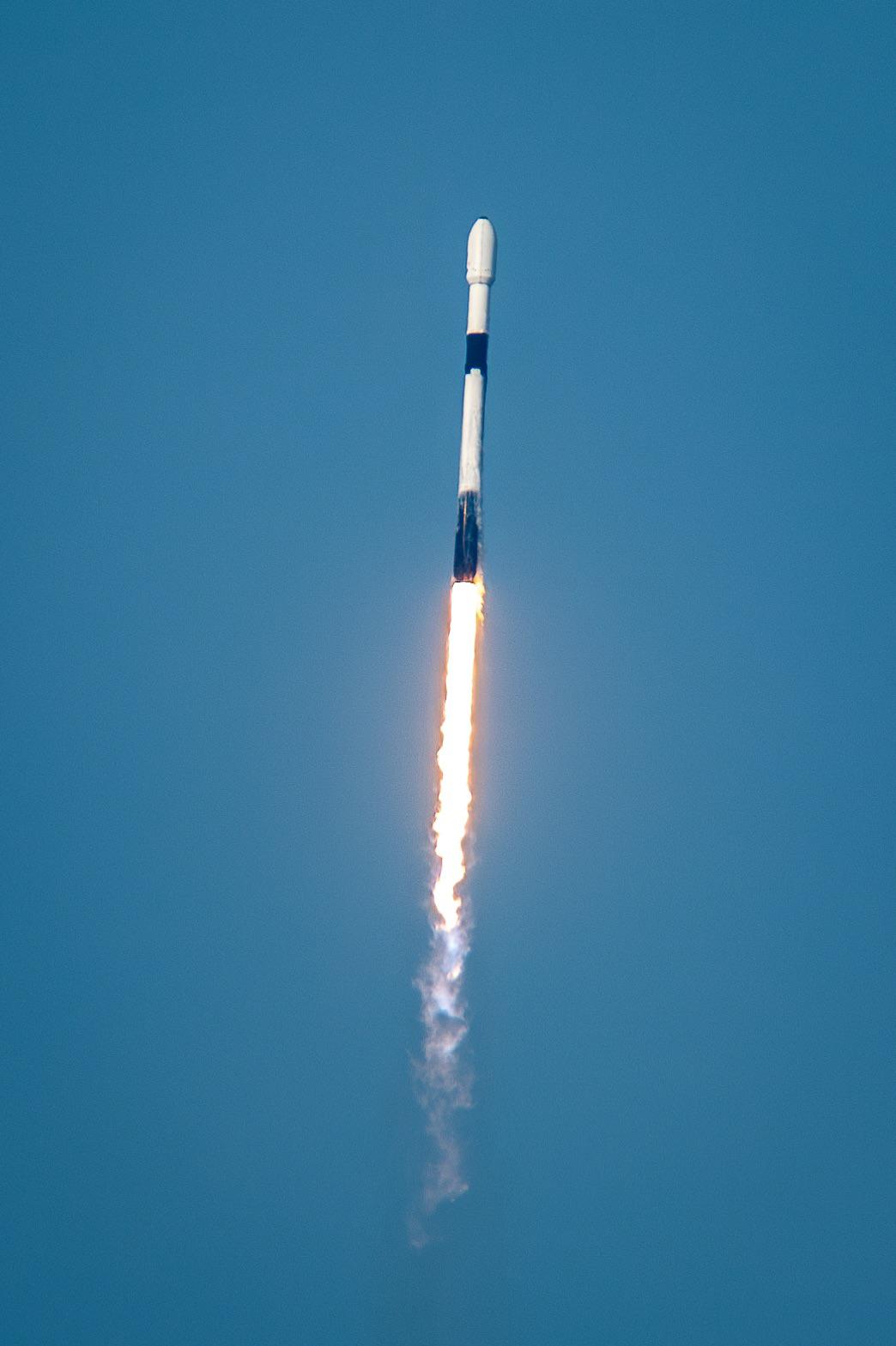 Falcon 9 launch. Taken from Kennedy Space Center (OC). And an osprey with dinner. | Scrolller