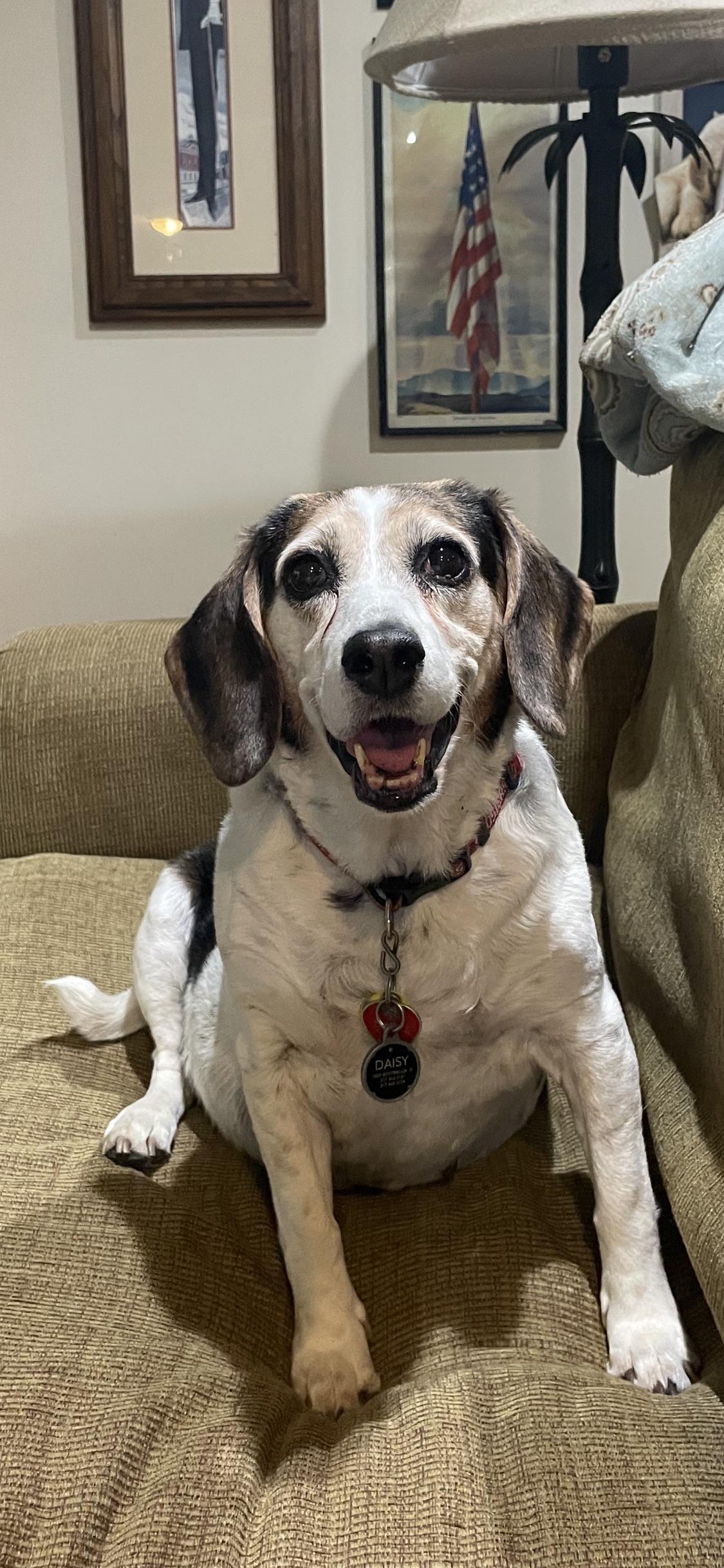 Happy 16th birthday to Daisy! | Scrolller