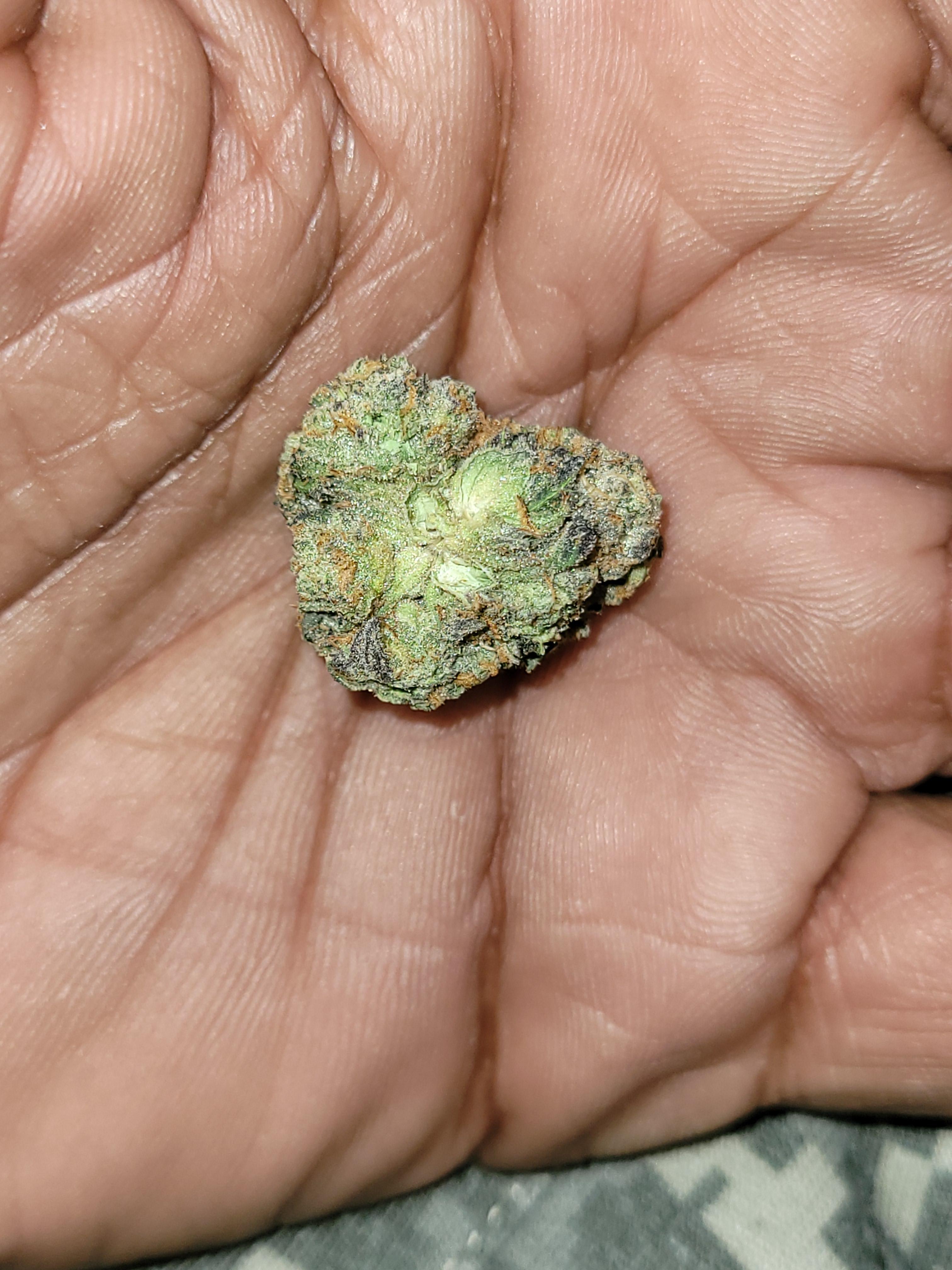 Triangle Gelato | Scrolller